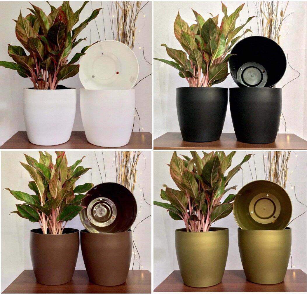 Lowest Price 2pieces LARGE Minimalist Elegant Plant Pots High quality ...
