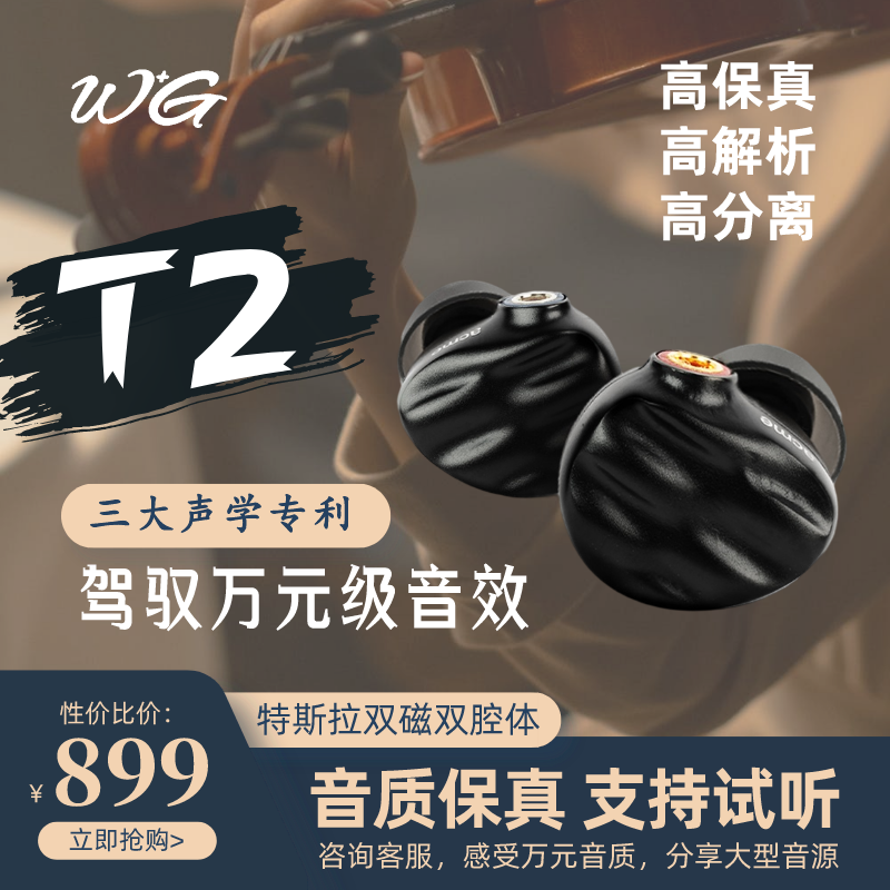 W + G T2 High Resolution High Fidelity HiFi Fever in-Ear Dynamic ...
