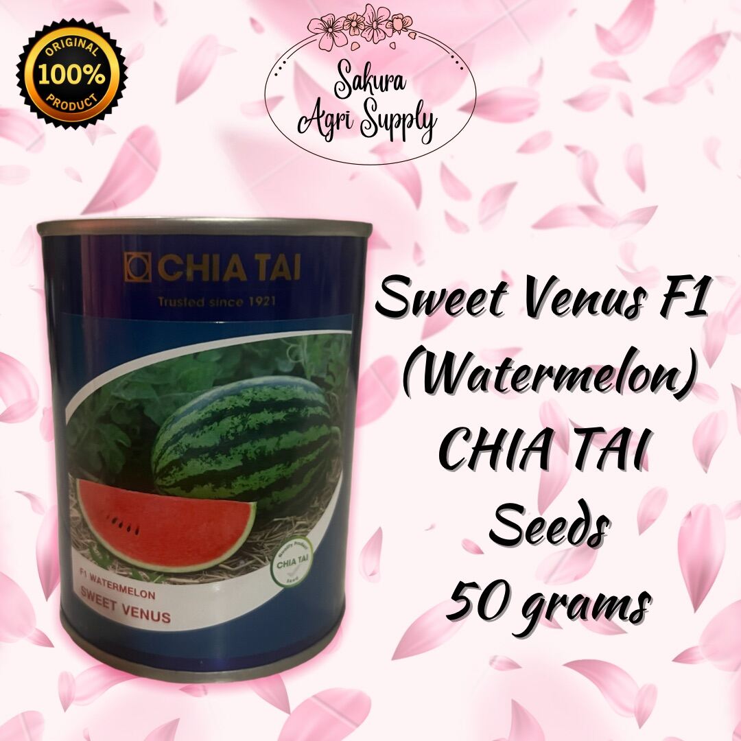 CHIA TAI SWEET VENUS F1 CRIMSON TYPE HYBRID WATERMELON / PAKWAN SEEDS ...