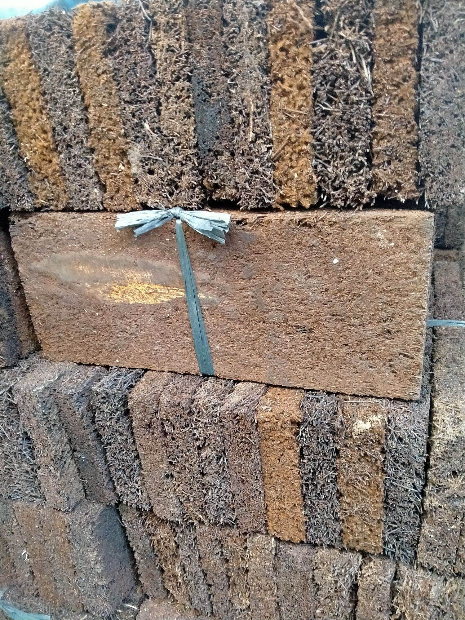 organic fern pole / fern stick Slab ( 2ft, 3ft , 5 x12 x 1 inch ) Best ...