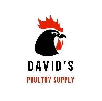 David-Aya Online Store Philippines Official Online Store | Shop Now on ...