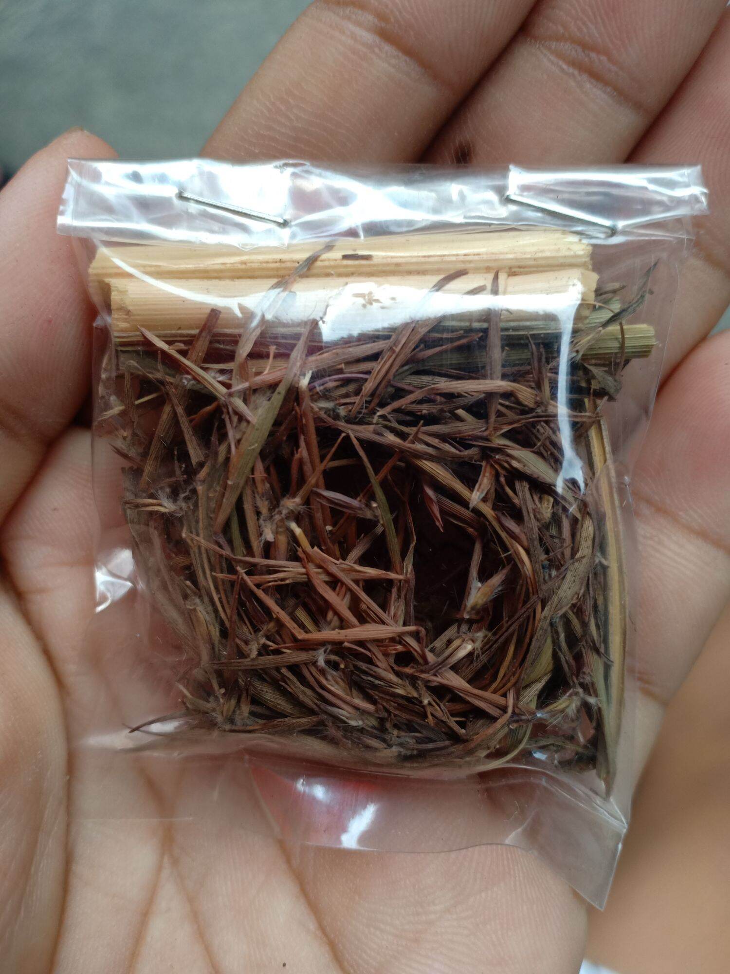 bulaklak Ng tanlad swerte sa negosyo | Lazada PH bulaklak Ng tanlad swerte sa negosyo | Lazada PH