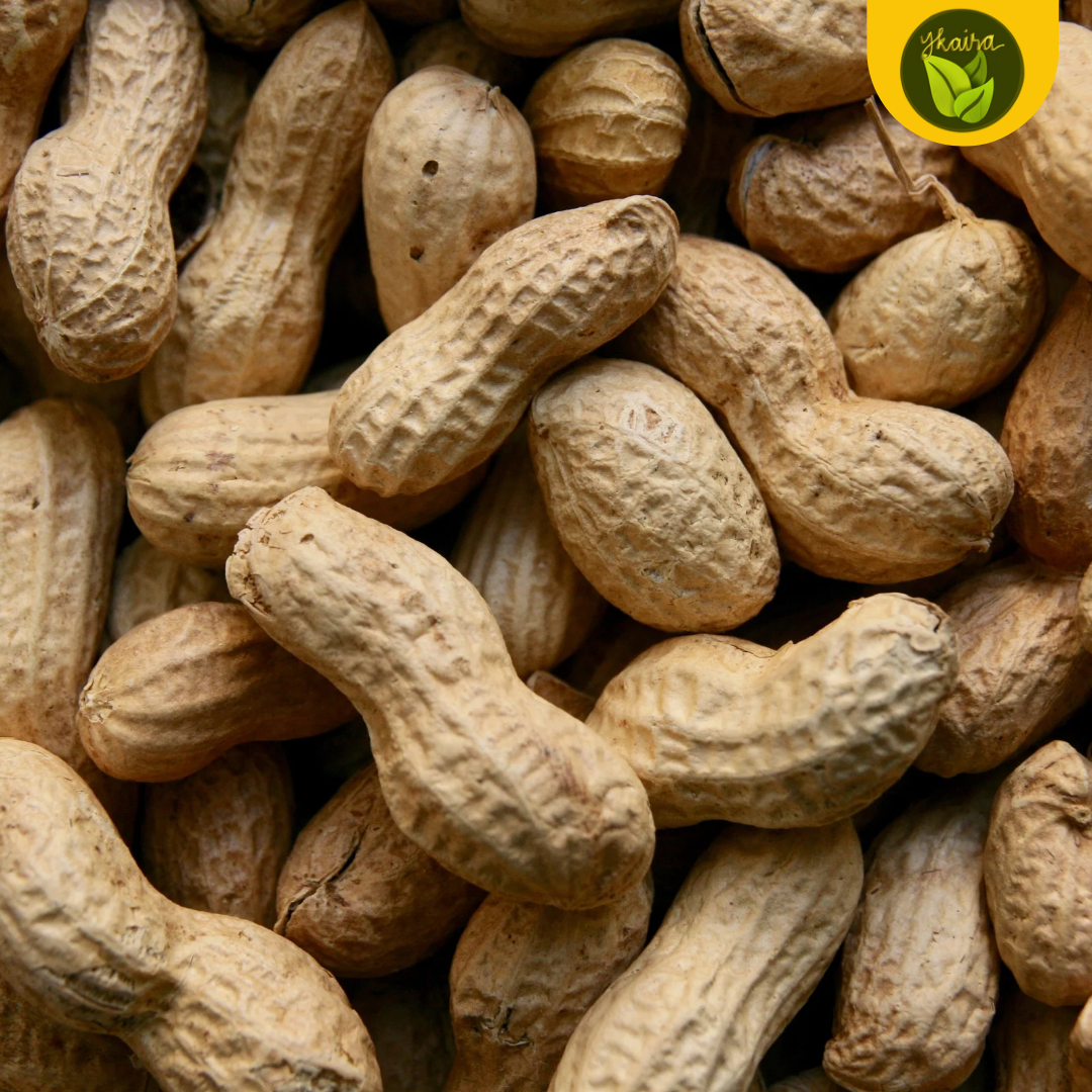 binhi 100 seeds for planting mani peanut