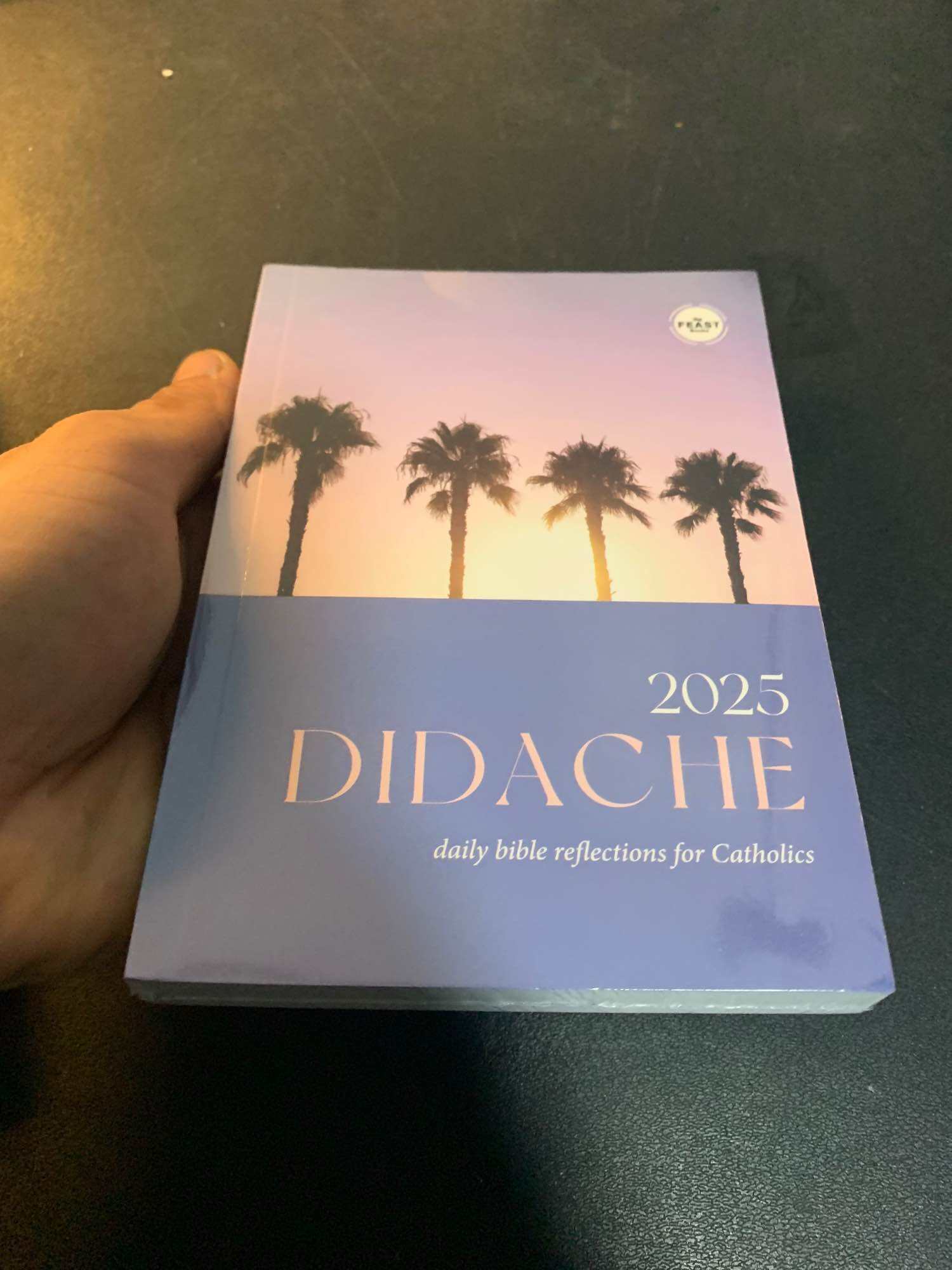 Didache 2025 (Daily Reflections for Every Catholic) | Lazada PH