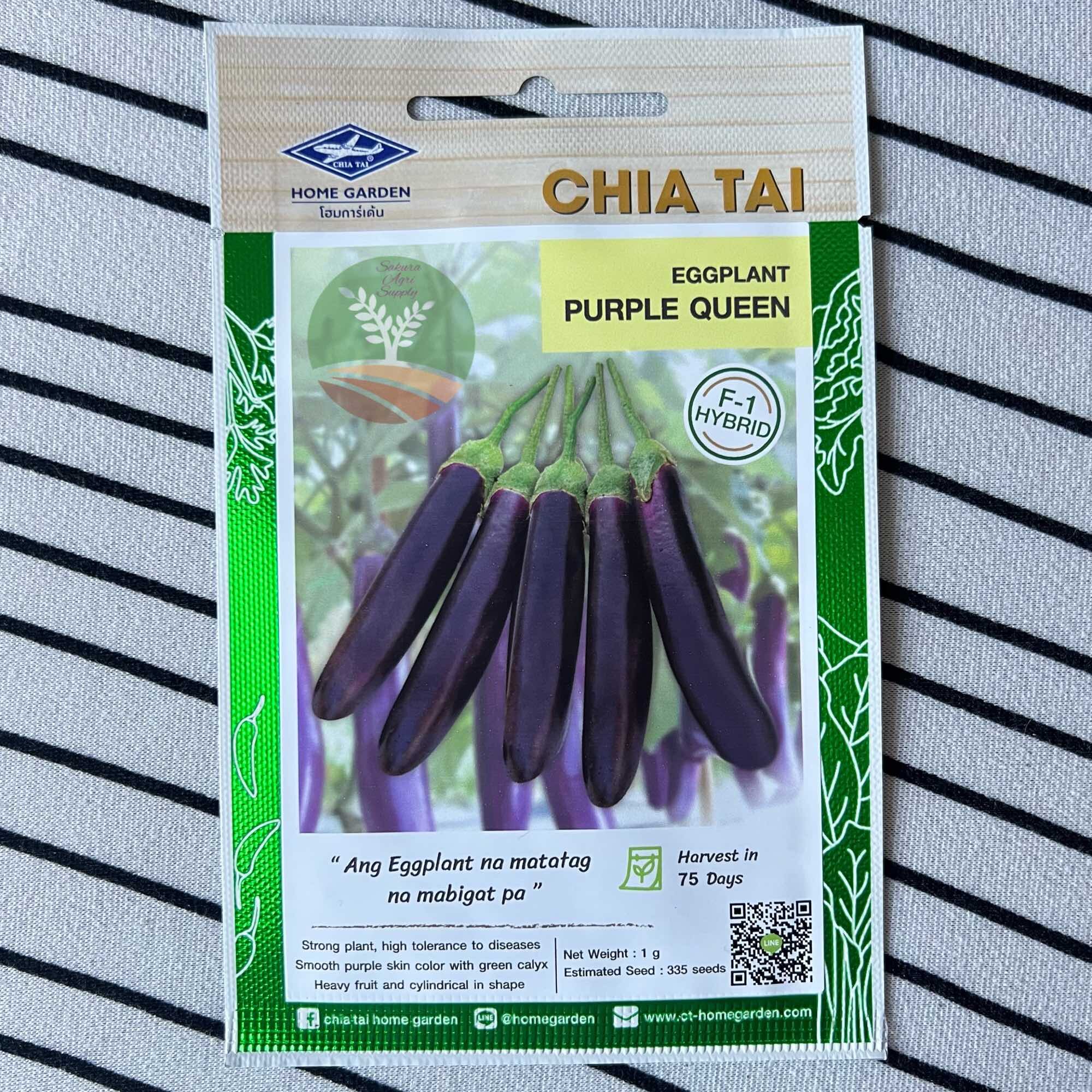 PURPLE QUEEN F1 EGGPLANT SEEDS CHIA TAI HYBRID TALONG SEEDS SMALL PACK ...