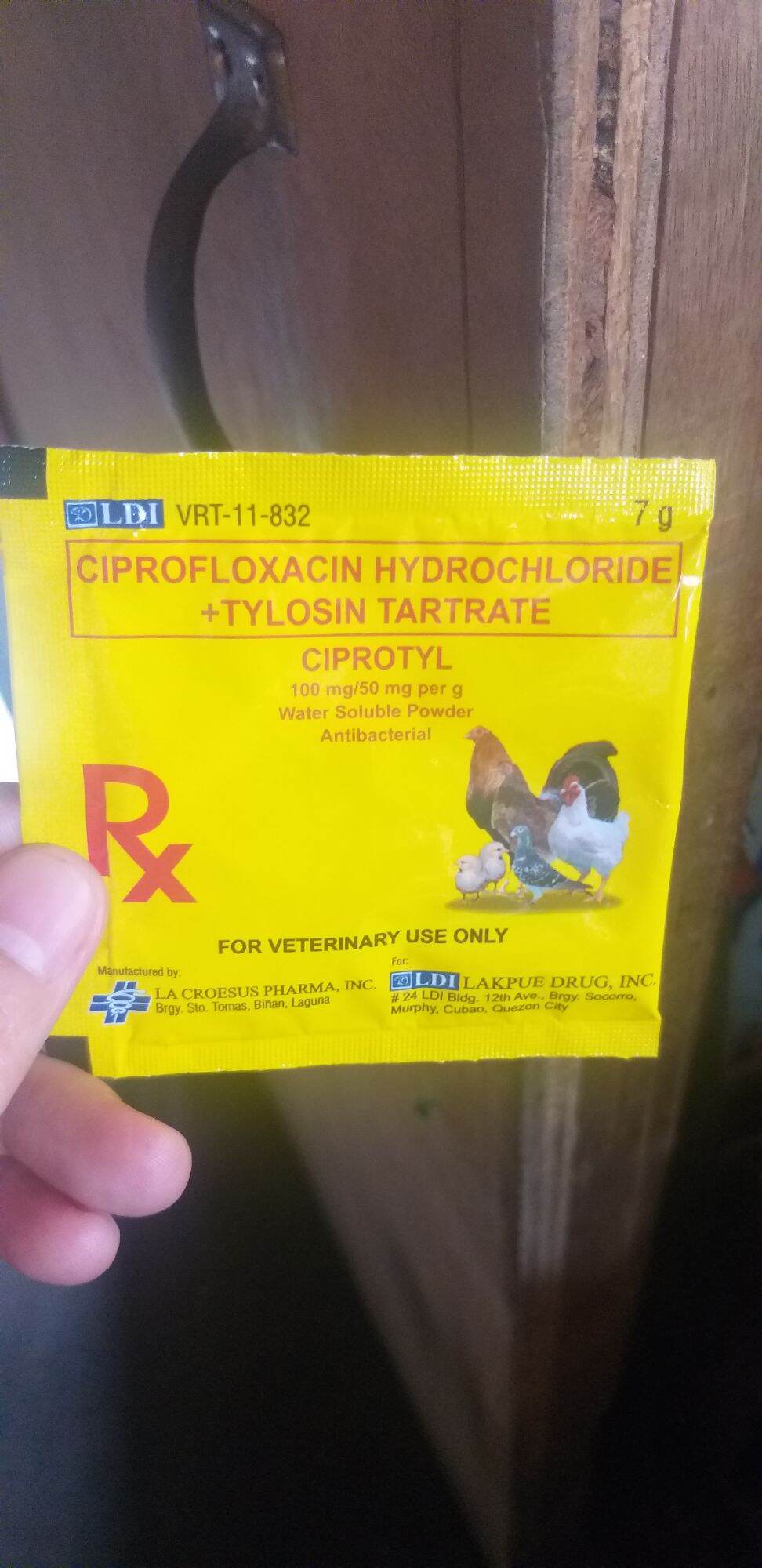 CIPROTYL POWDER 7 GRAM 1 SACHET | Lazada PH