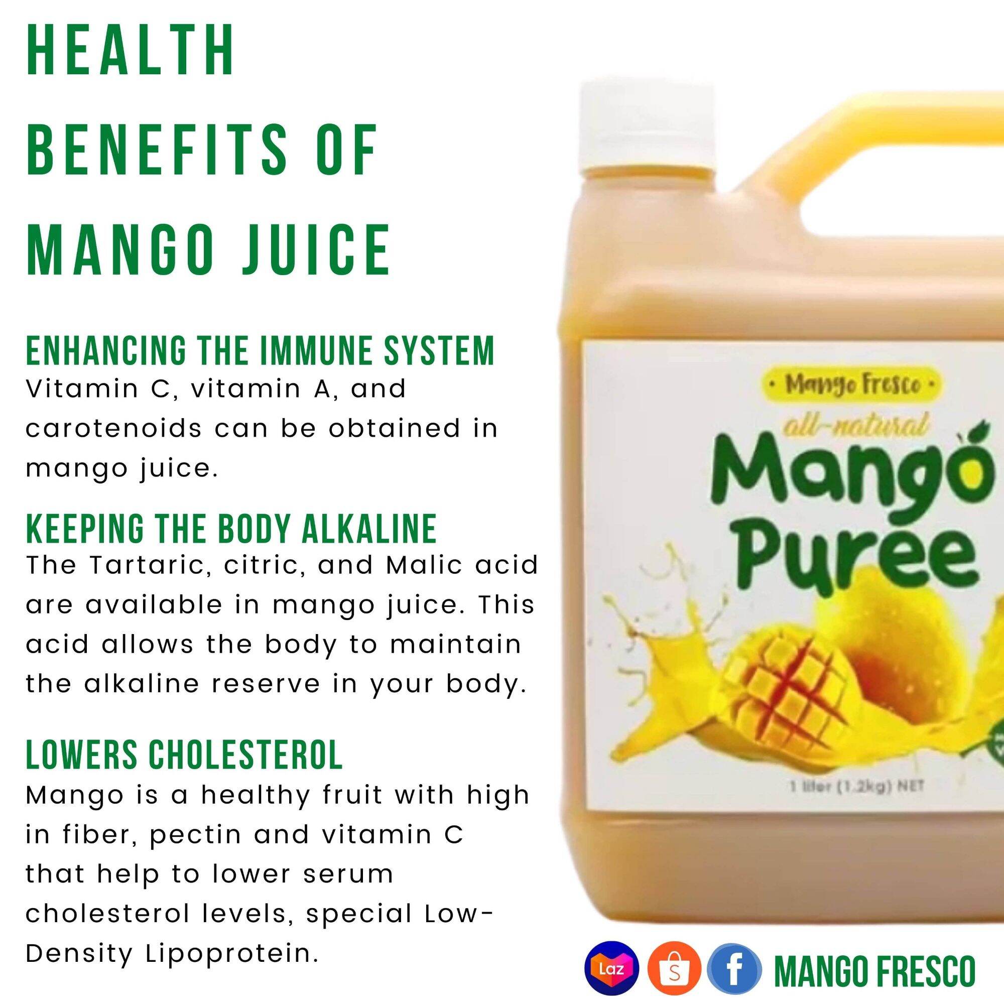 Mango Puree 1 Liter Container | Lazada PH