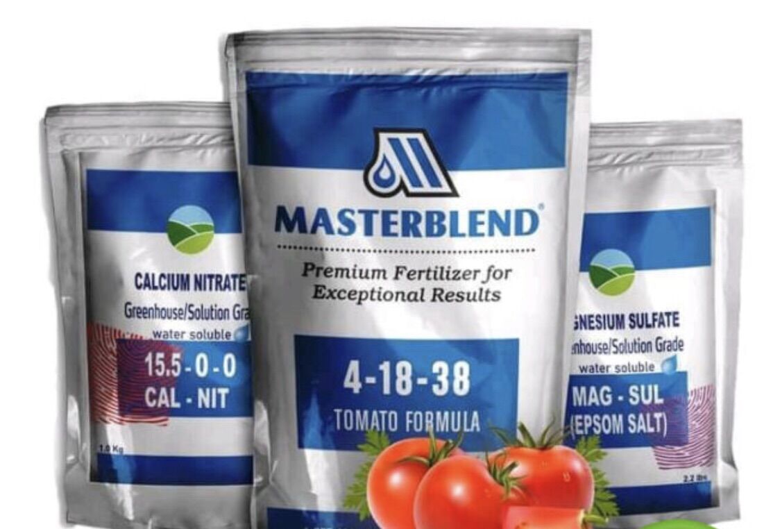 Masterblend Set Tomato Formula 500g | Lazada PH