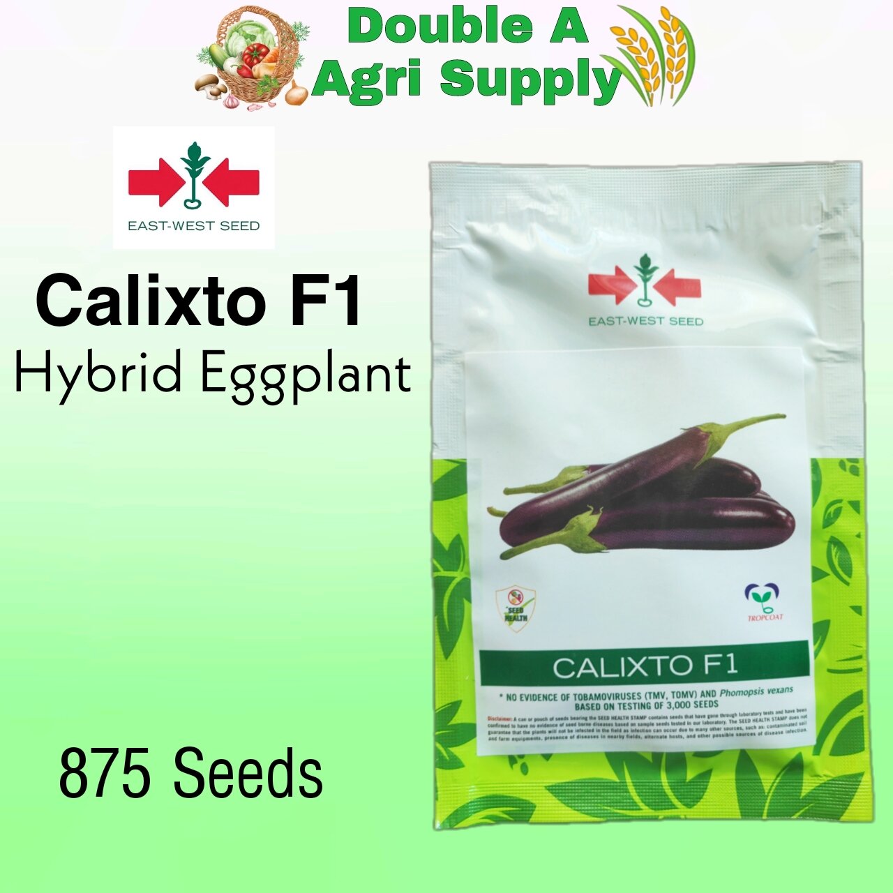 Calixto F1 Hybrid Eggplant Asenso Pack - East West Seed | Lazada PH