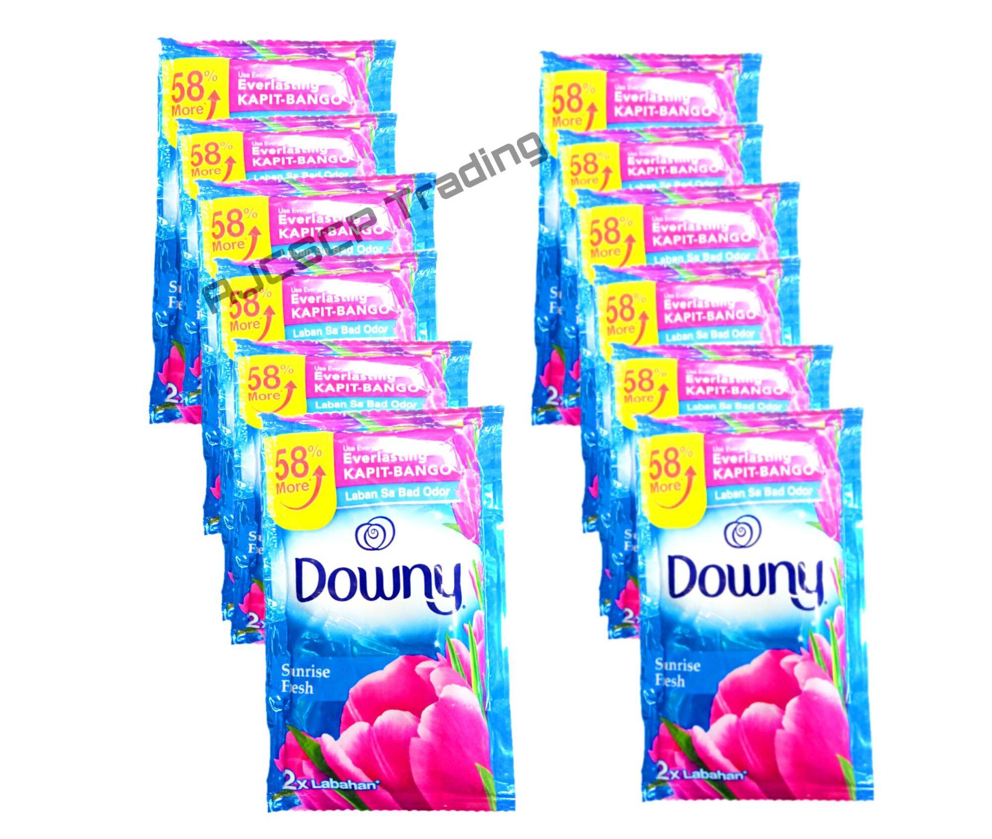 12 Pcs Downy 24mL Market Grade/for Personal use Only | Lazada PH
