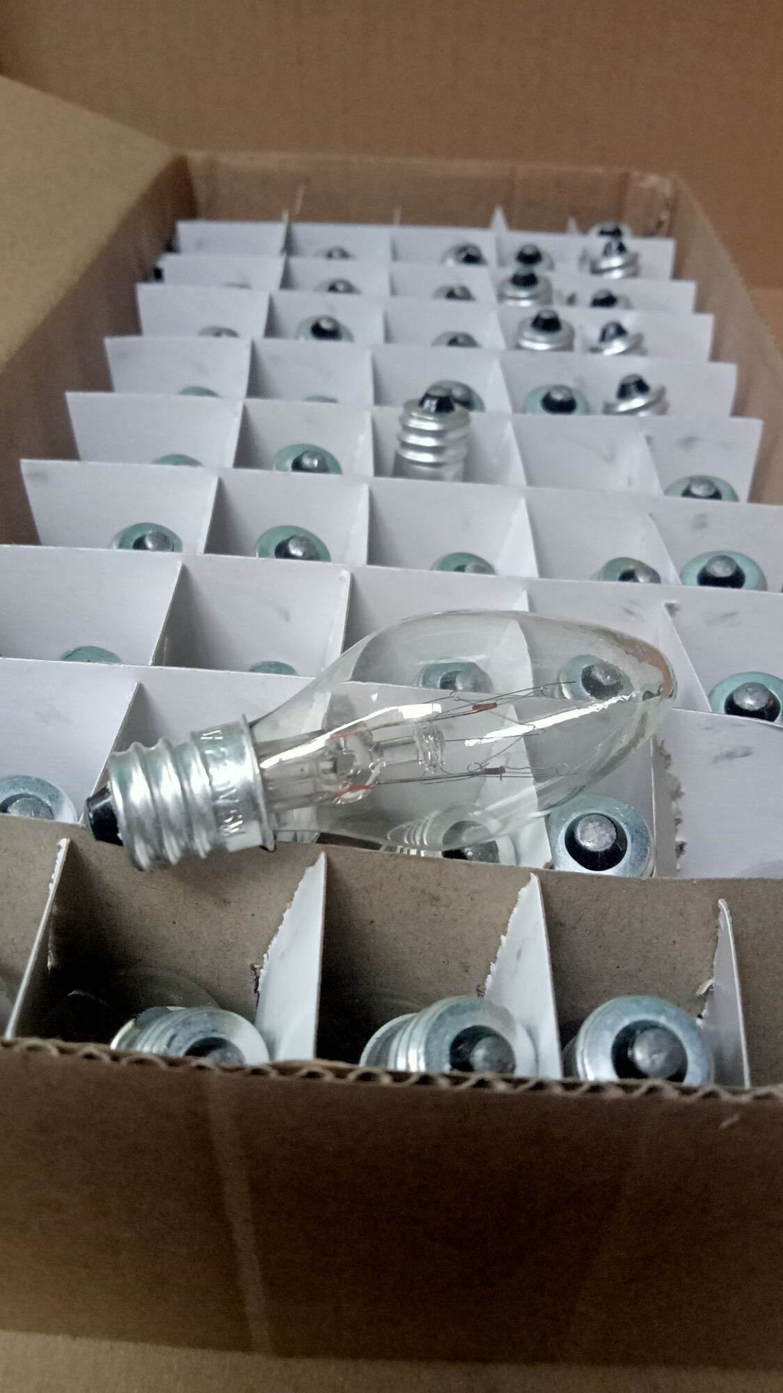 Pilot Bulb for altar and lantern 50 pcs 1 box | Lazada PH