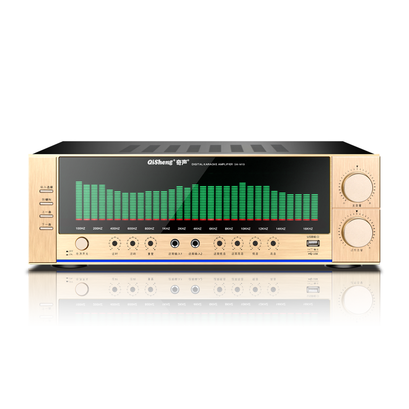 Qisheng M19 Power Amplifier Large Screen Spectrum Display Amplifier ...