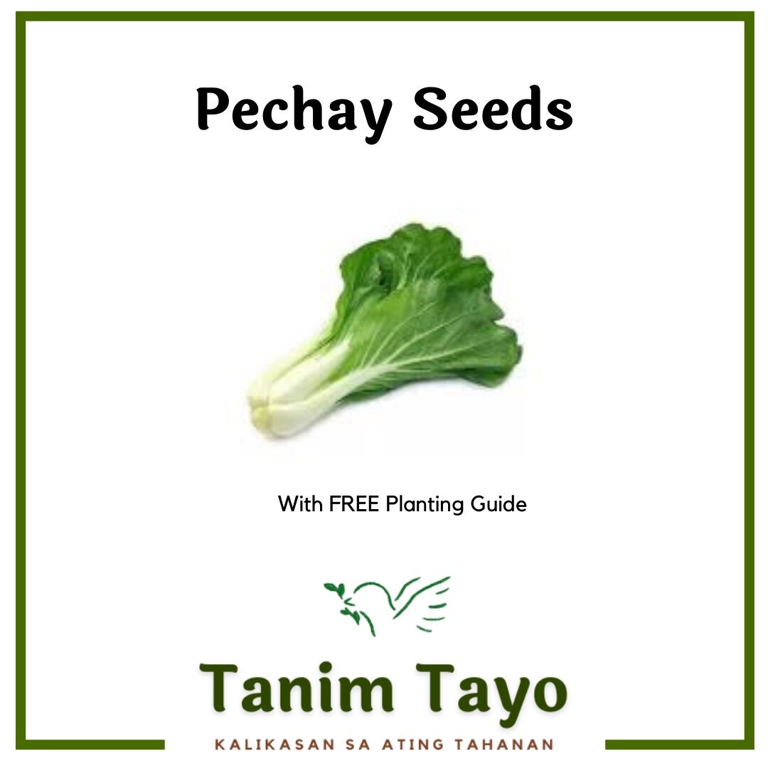 TanimTayo.PH Pechay Seeds Petchay Tagalog High Quality Repacked | Lazada PH