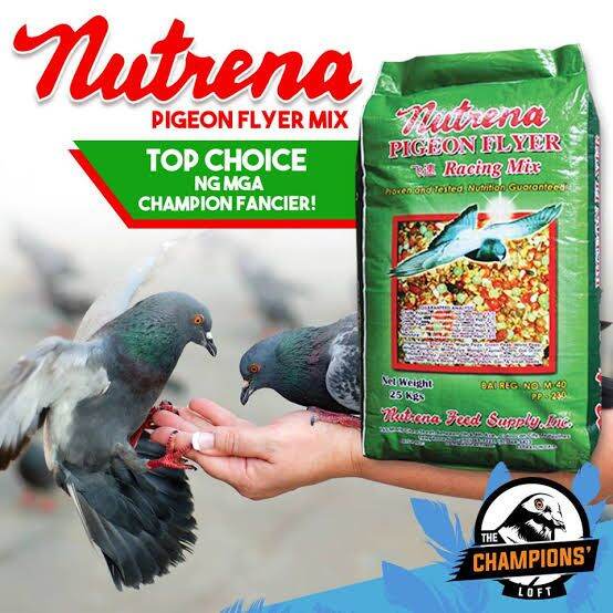 NUTRENA FLYER MIX FOR PIGEON (KALAPATI) 1KG (REPACK) | Lazada PH