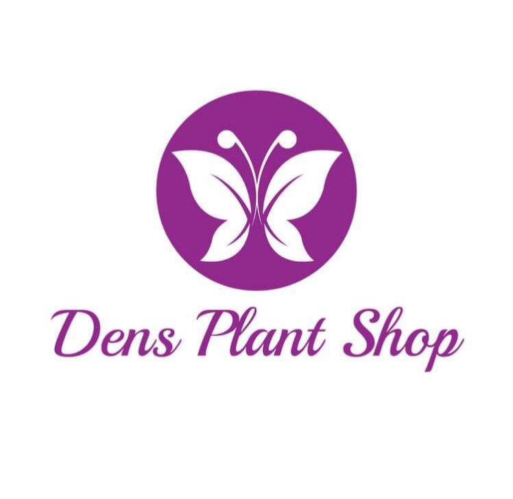 Dens Plant shop Philippines Official Online Store | Shop Now on Lazada