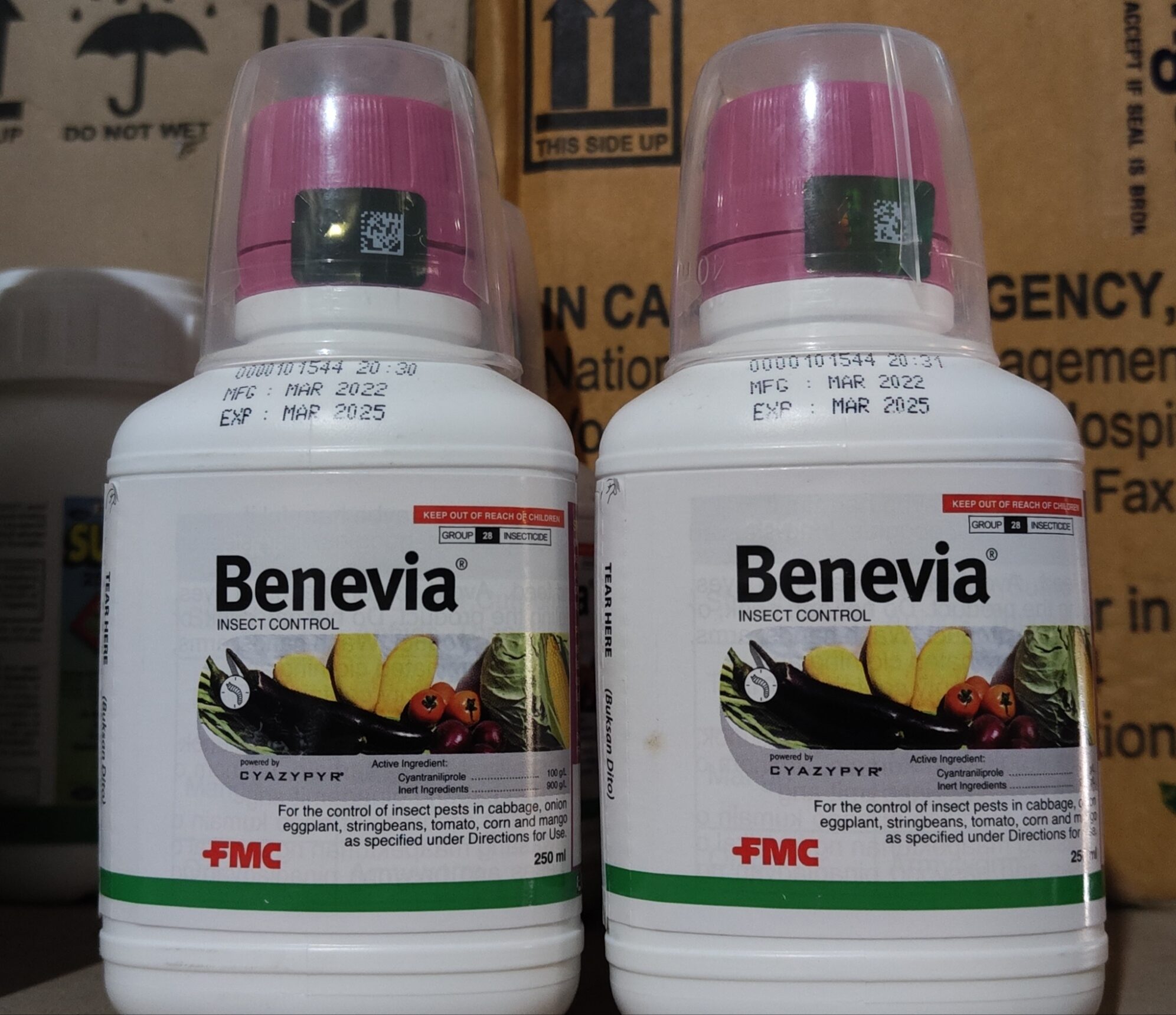 Benevia Insecticide 250ml | Lazada PH