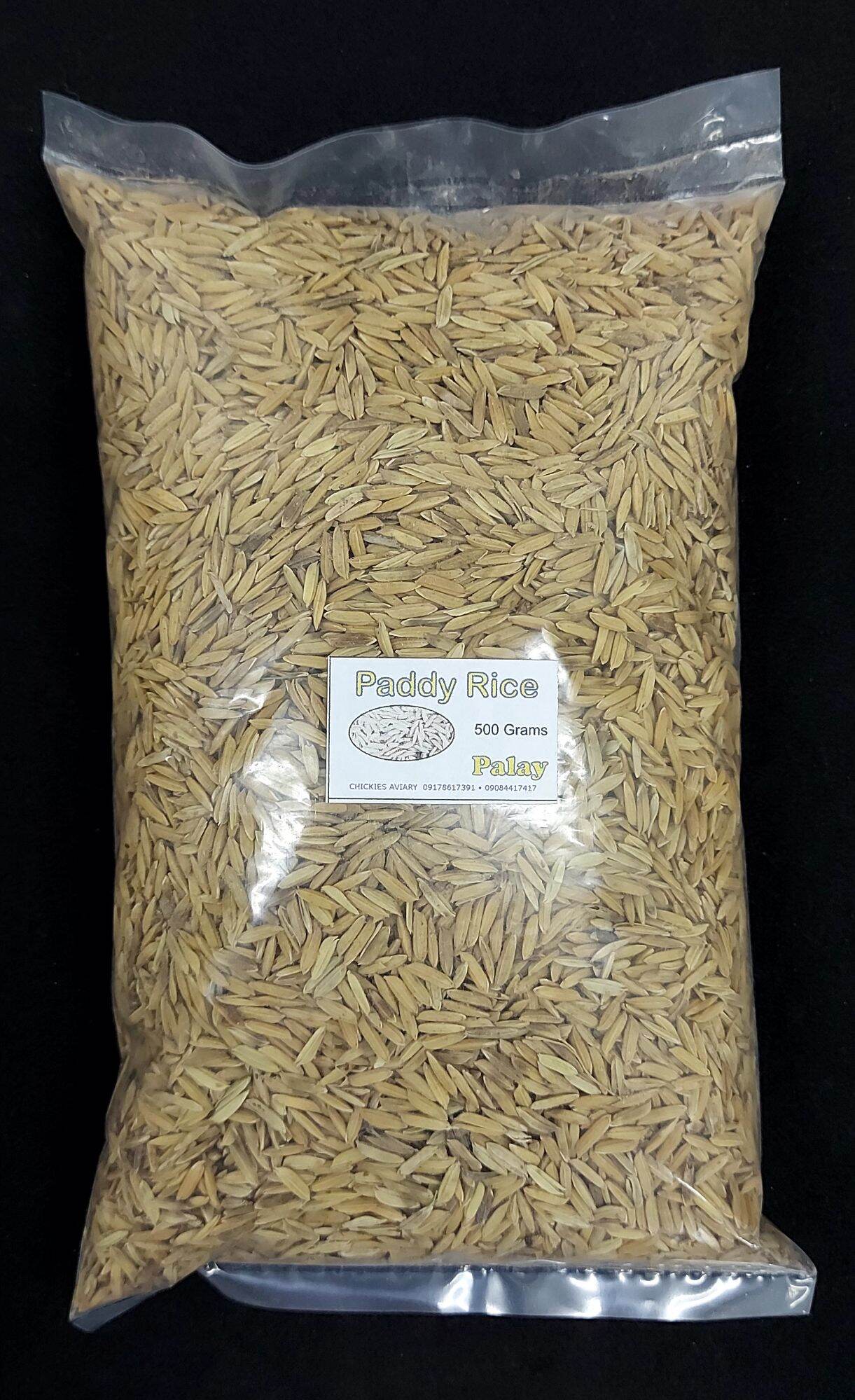 Palay / Paddy Rice for Birds (500 grams) | Lazada PH