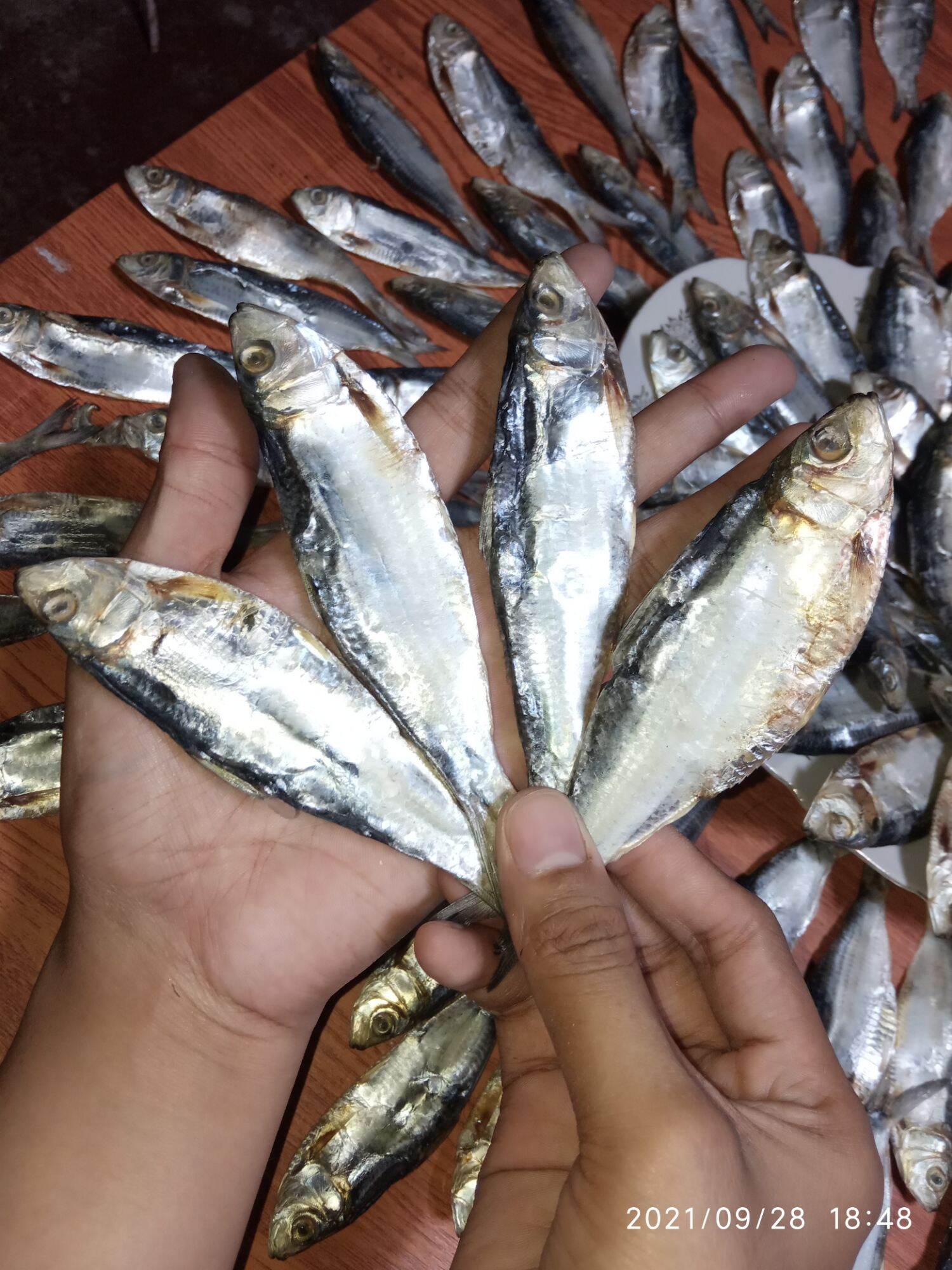 SALINAS TUYO 500G | Lazada PH