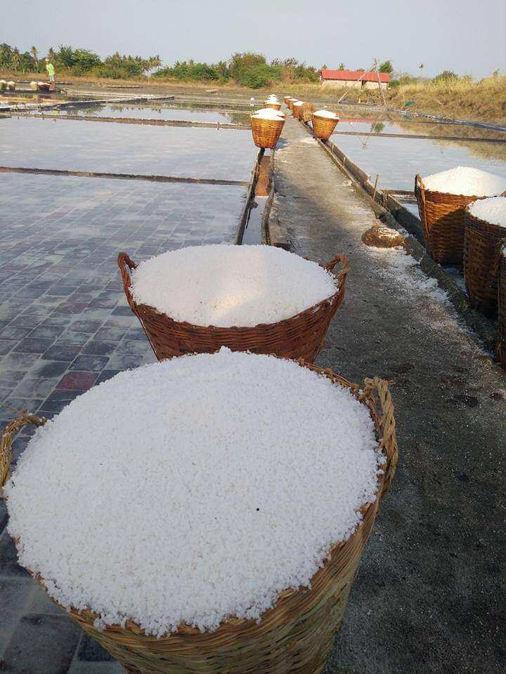 Asin/Sea Salt Pangasinan 1kg | Lazada PH