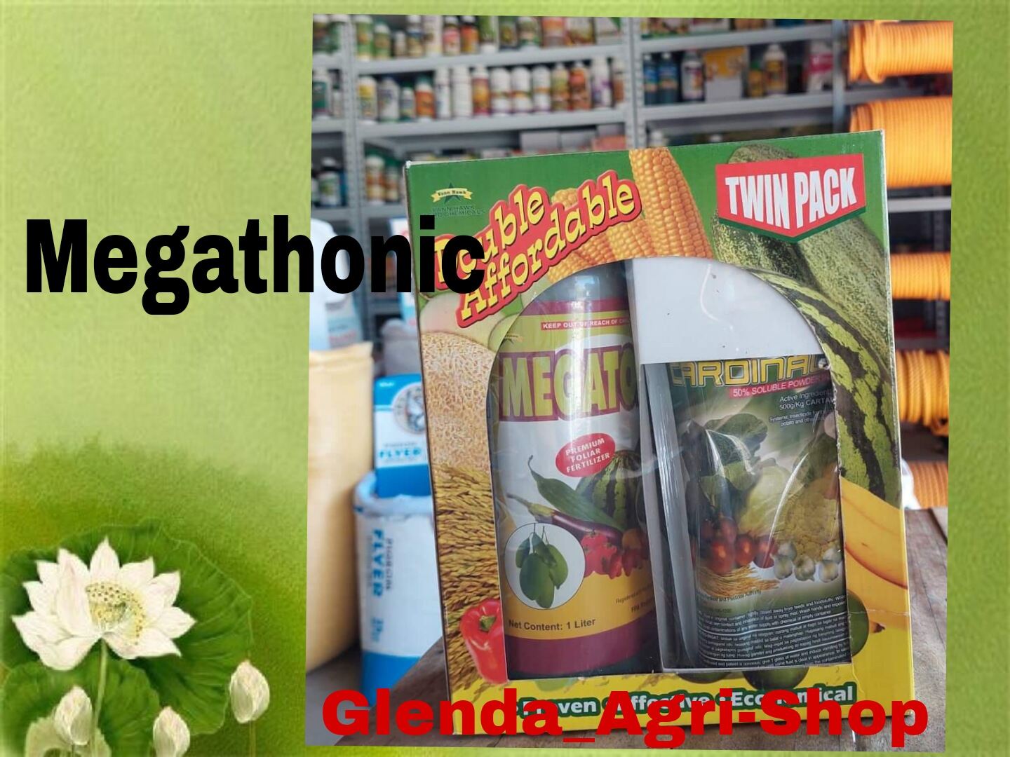 MEGATHONIC 1000ml pack INSECTICIDE FOLIAR FERTILIZER + CARDINAL ...