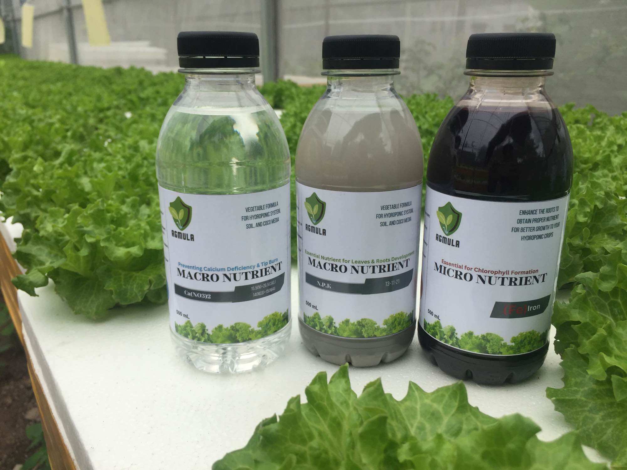 Set of 3-500mL’s Nutrient Solution A&B + Iron Chelate | Lazada PH