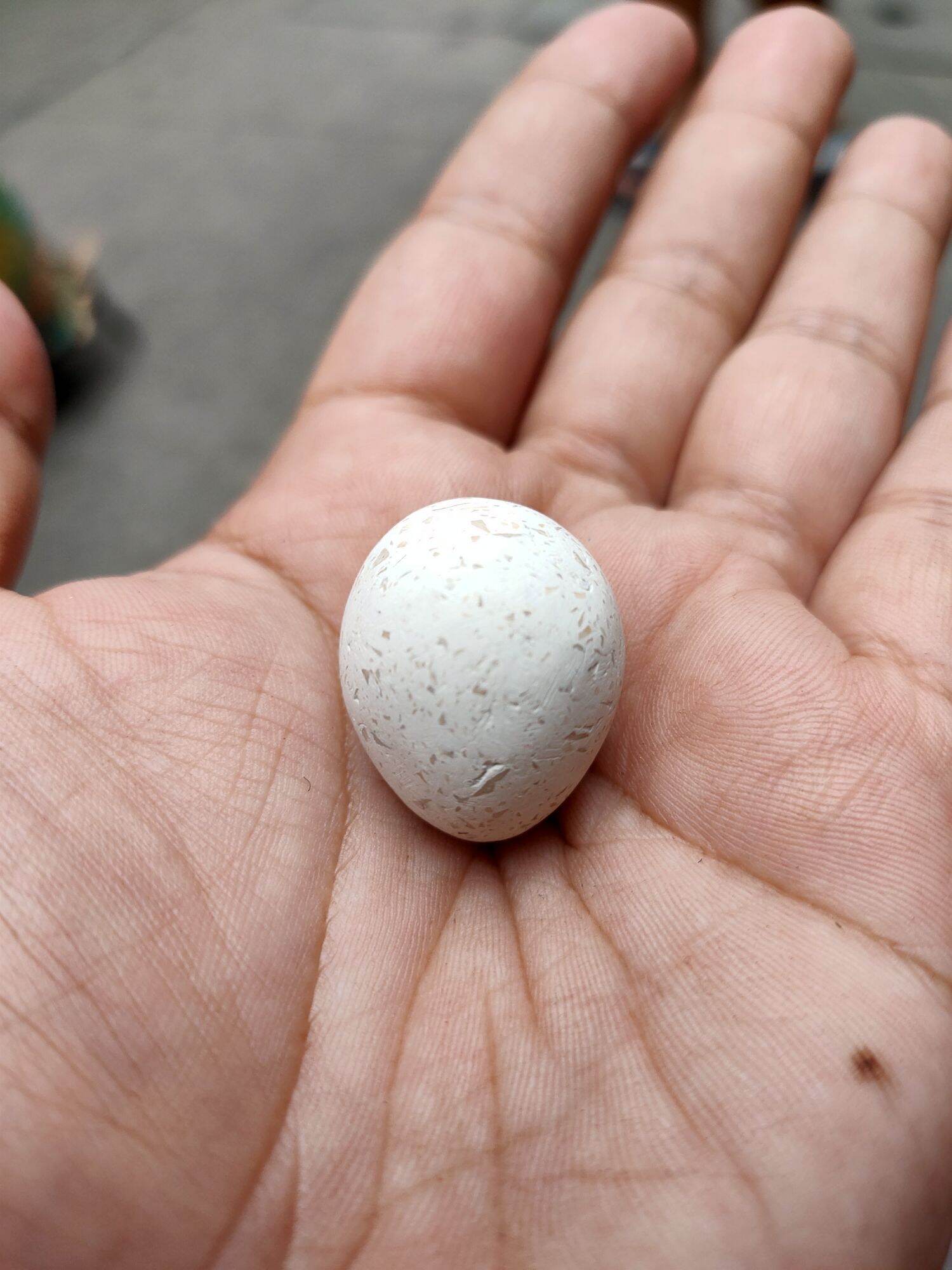 Itlog Pugo Kalog White pampaswerte! | Lazada PH