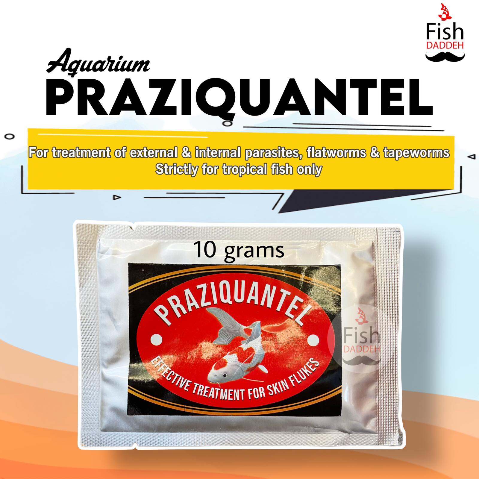 Aquarium Praziquantel Parasite Treatment for Fish Flukes 10g | Lazada PH