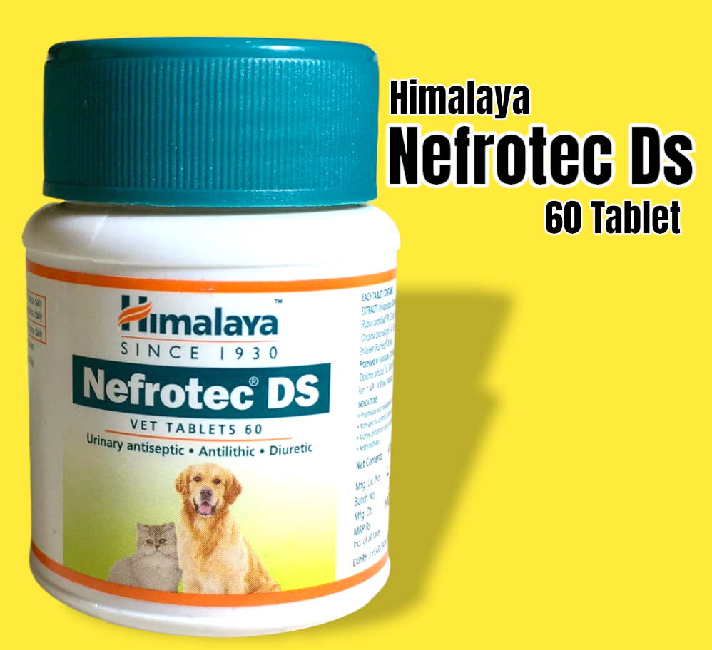 Himalaya Nefrotec Ds 60tablets | Lazada PH