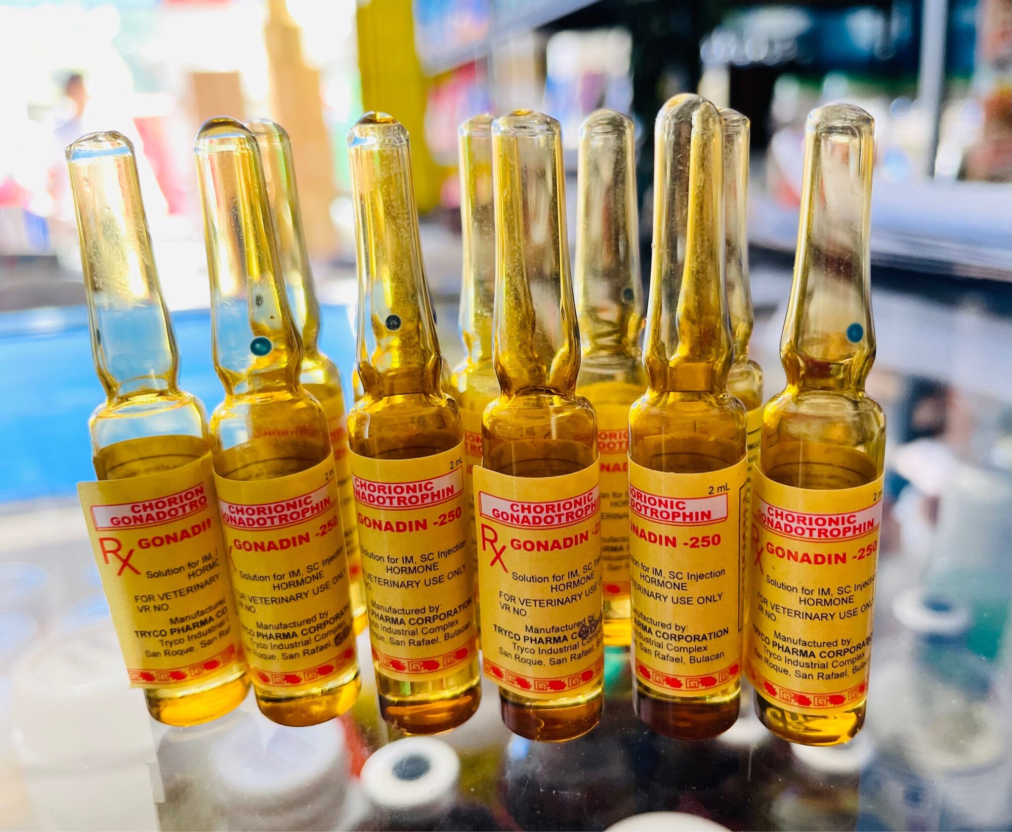 GONADIN 250 2ML Ampule Paglalandi ng dogs cats kambing babo atbp ...