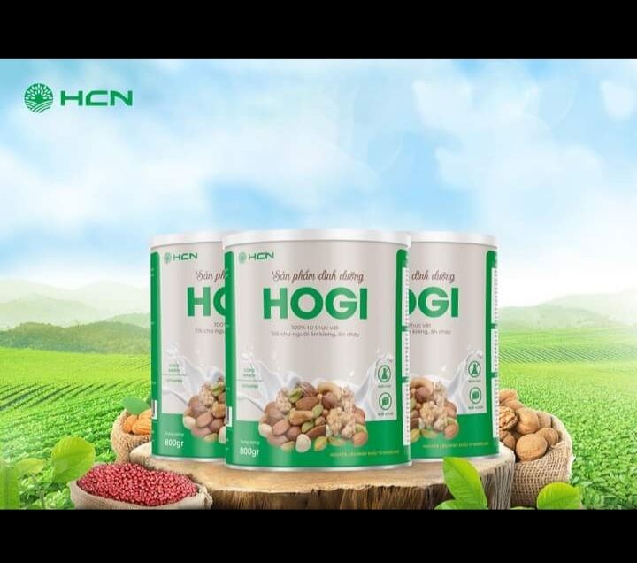 HOGI Milk - 300g Solution for weight Loss | Lazada PH