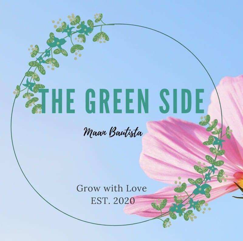 ‘D GREEN SIDE PLANTS SHOP Philippines Official Online Store | Shop Now ...