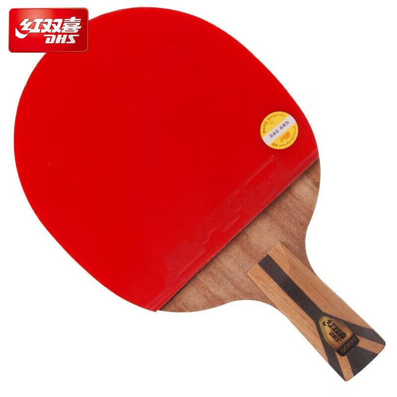 DHS | Professional 7-Star Table Tennis Racket | Lazada PH