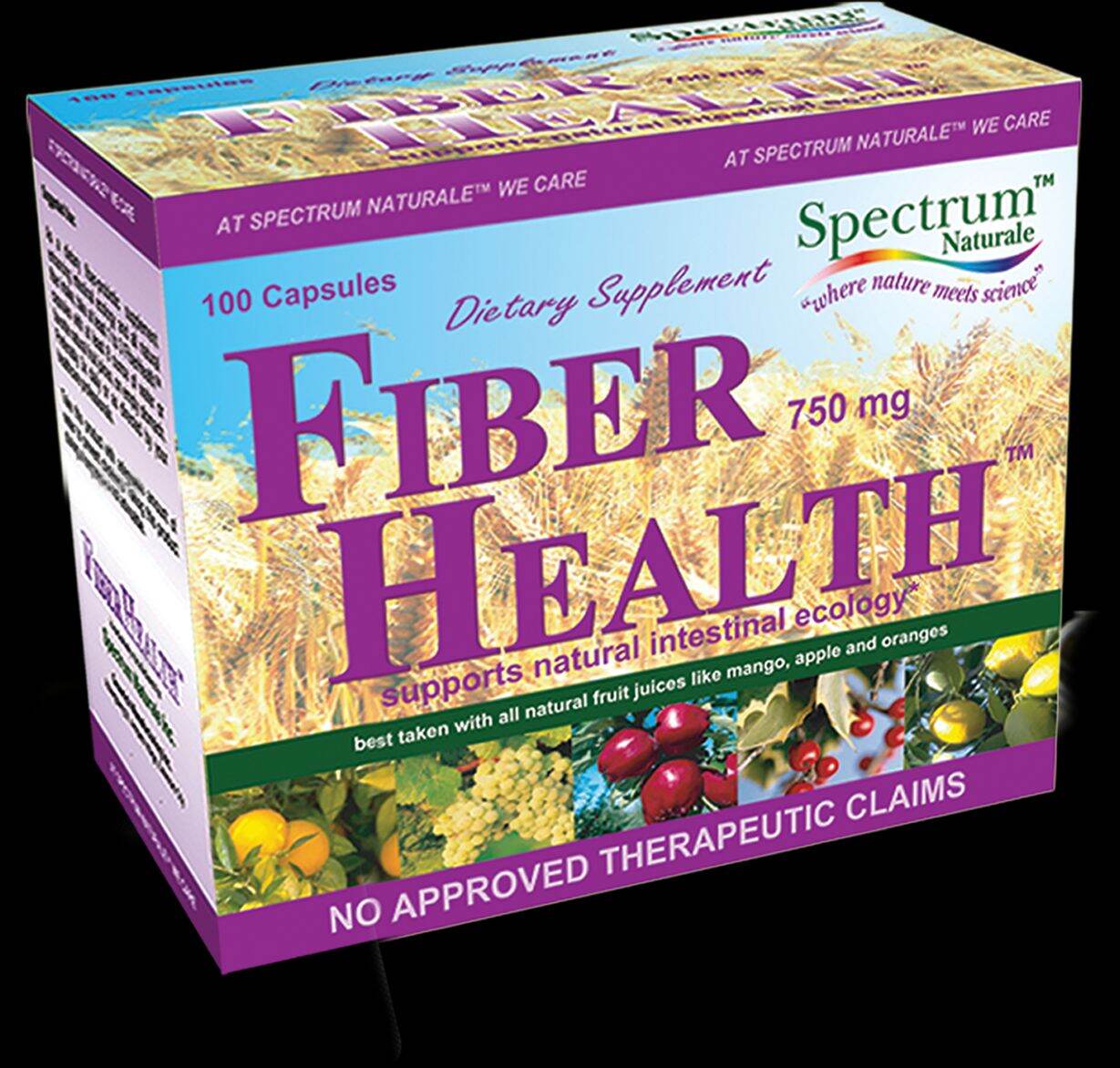 Fiber Health 100 Capsules | Lazada PH