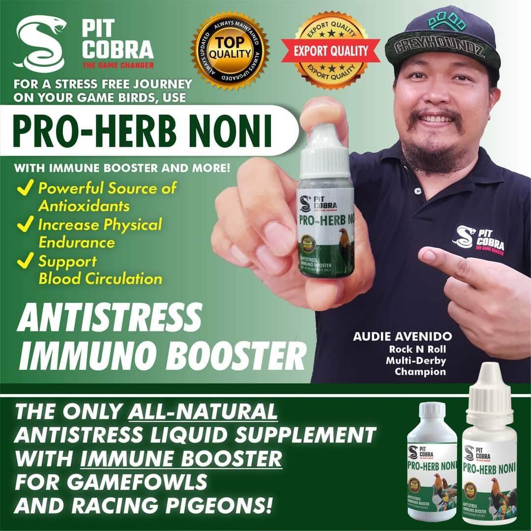 PRO-HERB NONI 15 ml (anti stress and immune booster) for fighting cock ...