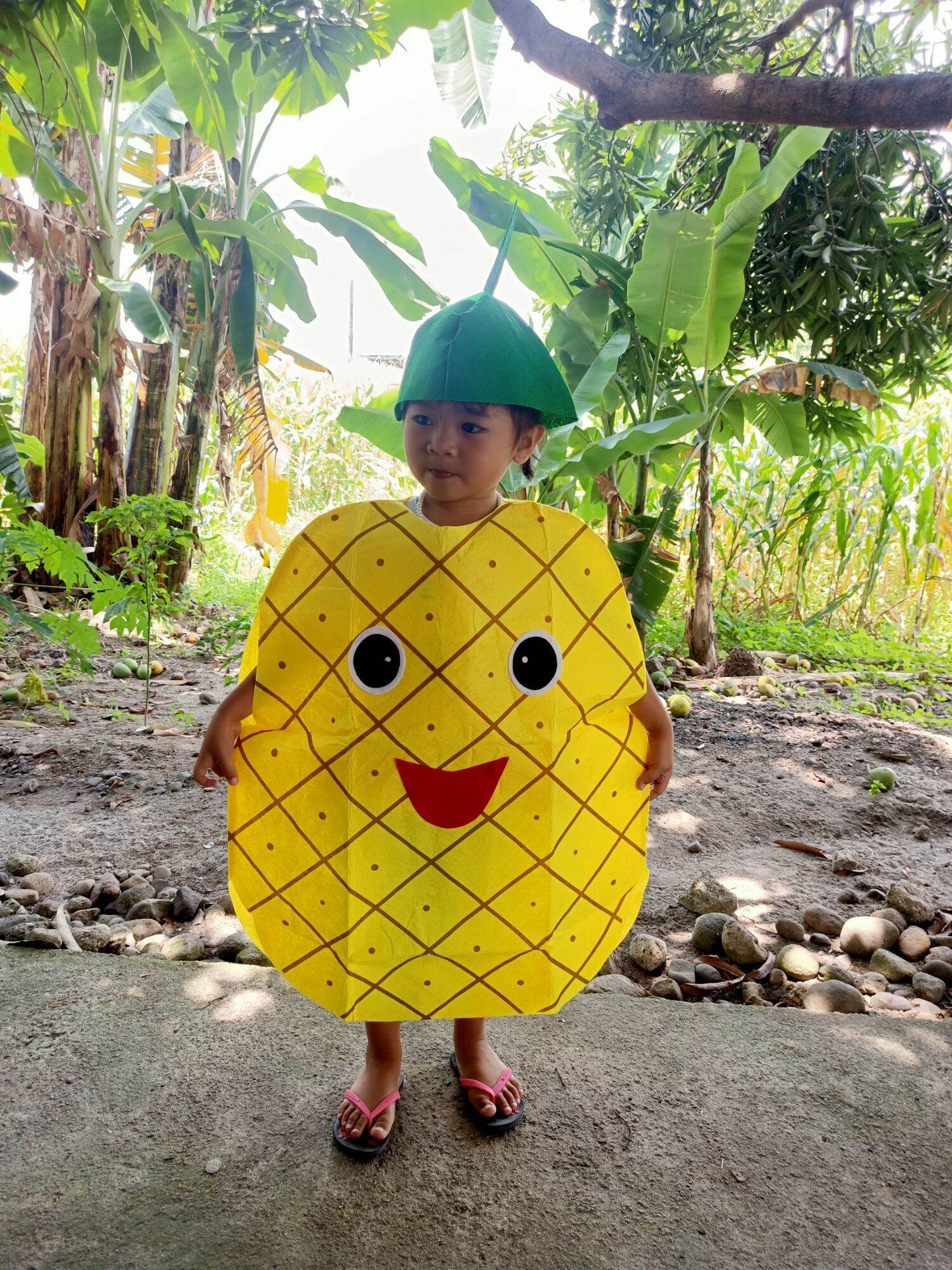 Pineapple costume store