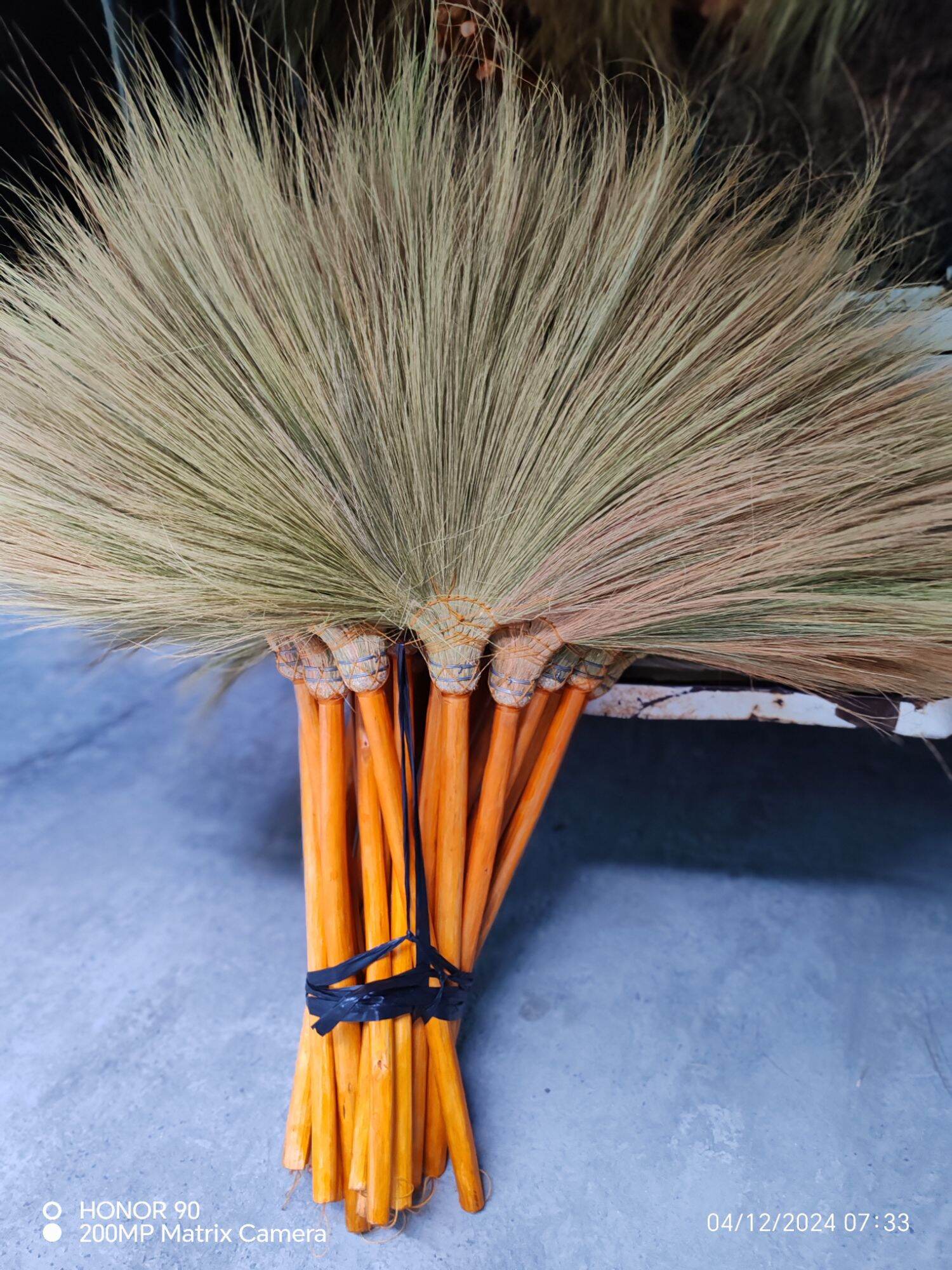 Walis Tambo from Mindoro Makapal at pinakamatibay | Lazada PH