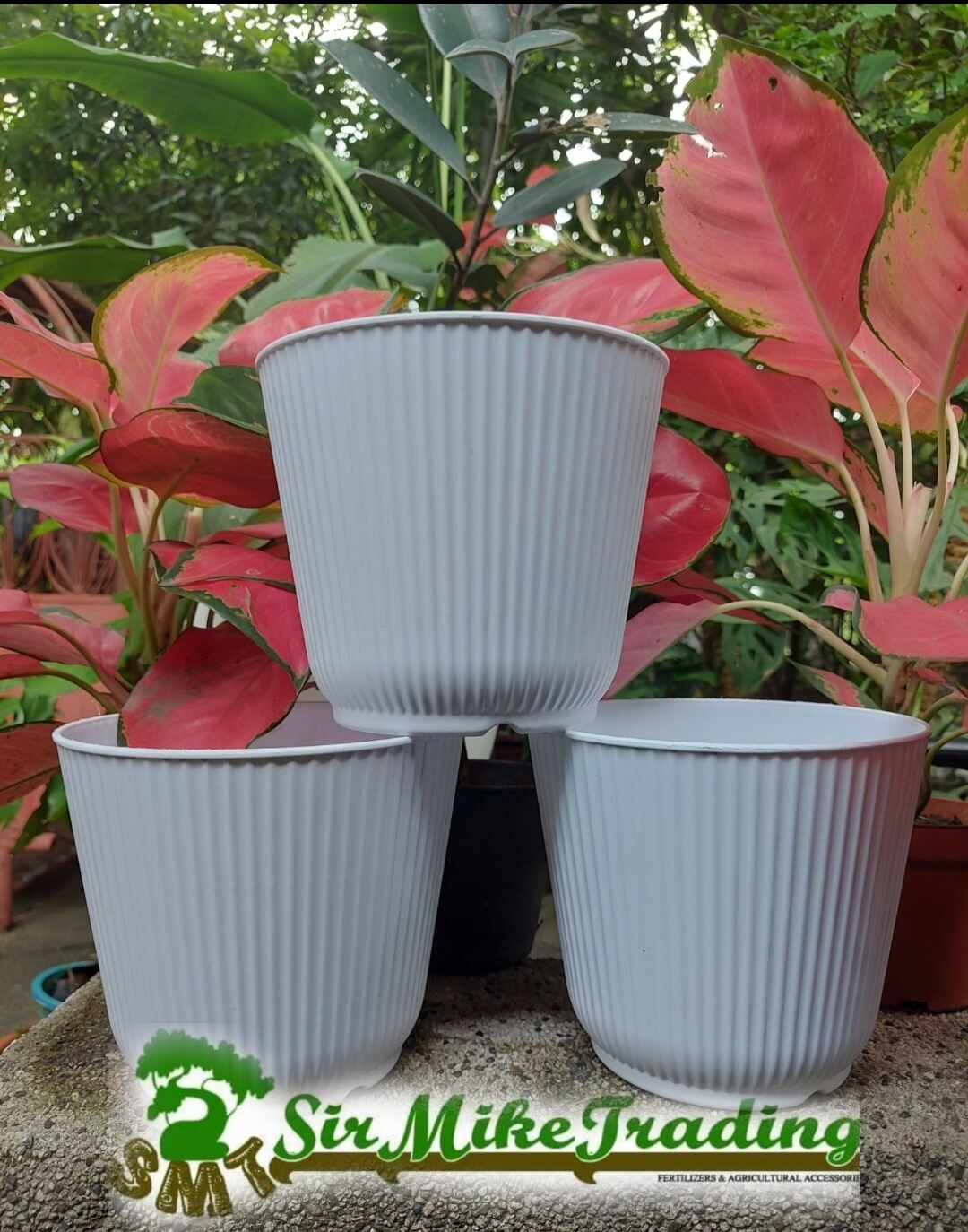 Corrugated plastic pot 6x6.5 inches | Lazada PH