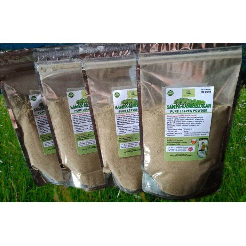 For UTI and Kidney Problema / Sampa-Sampalukan Leaves Powder 100% Pure ...