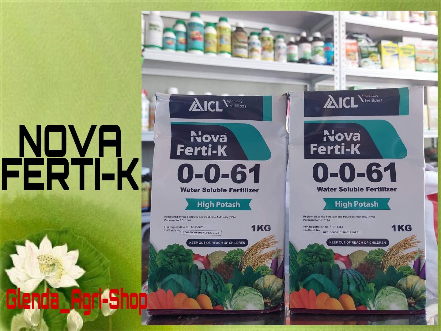 Nova FERTI-K 0-0-61 Water Solublefertilizer High Potash (1kg) | Lazada PH
