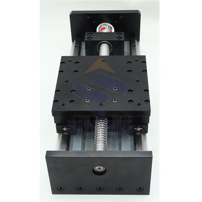 Linear Rail Slide Table Double Line Track Ball Screw Motor Compatible ...