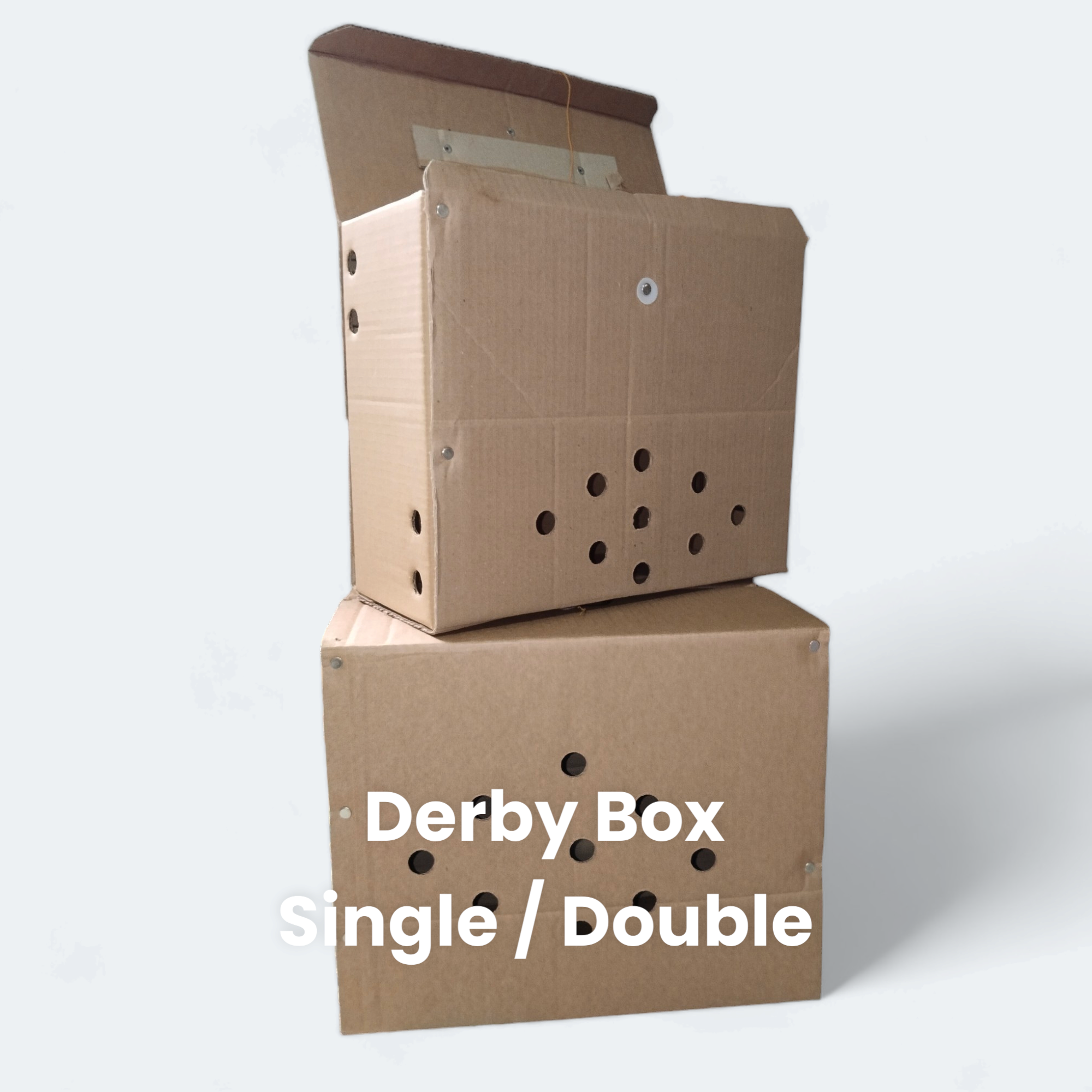 Derby Box Carrier Carton Type Single Double Single Double Carton Medium Breed Carrier Lazada Lazada PH
