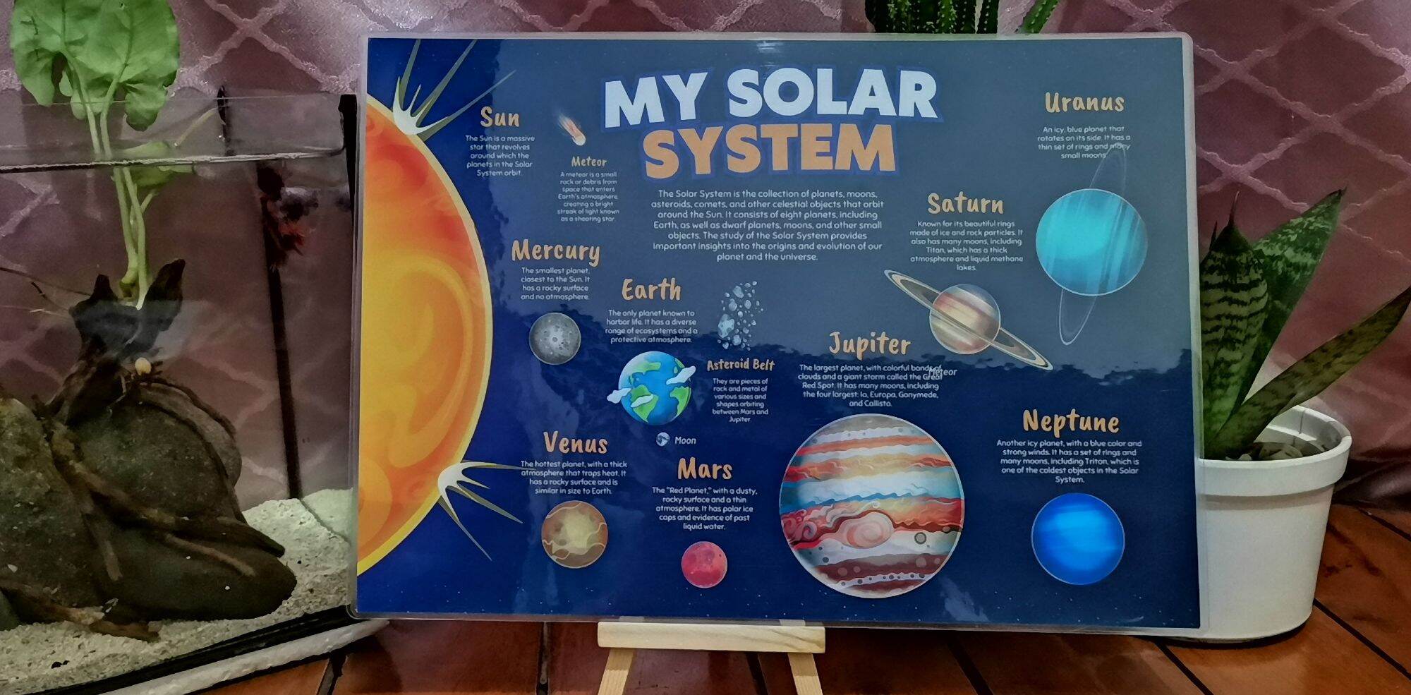 Laminated Educational Chart (a4 size) | Lazada PH Laminated Educational Chart (a4 size) | Lazada PH