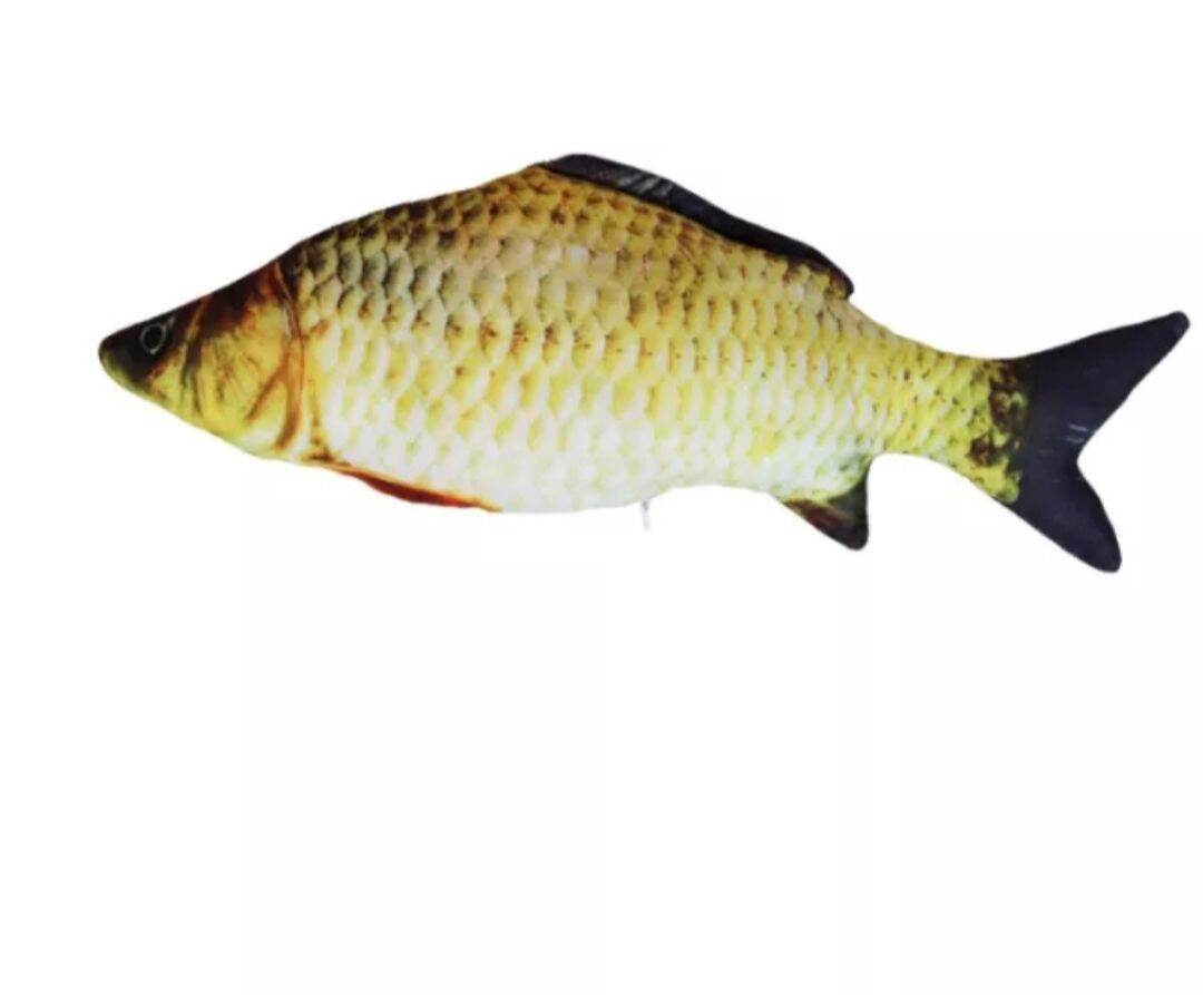 Interactive Cat Fish Toy Pet Pillow Toy Cotton Squeaky Toys | Lazada PH