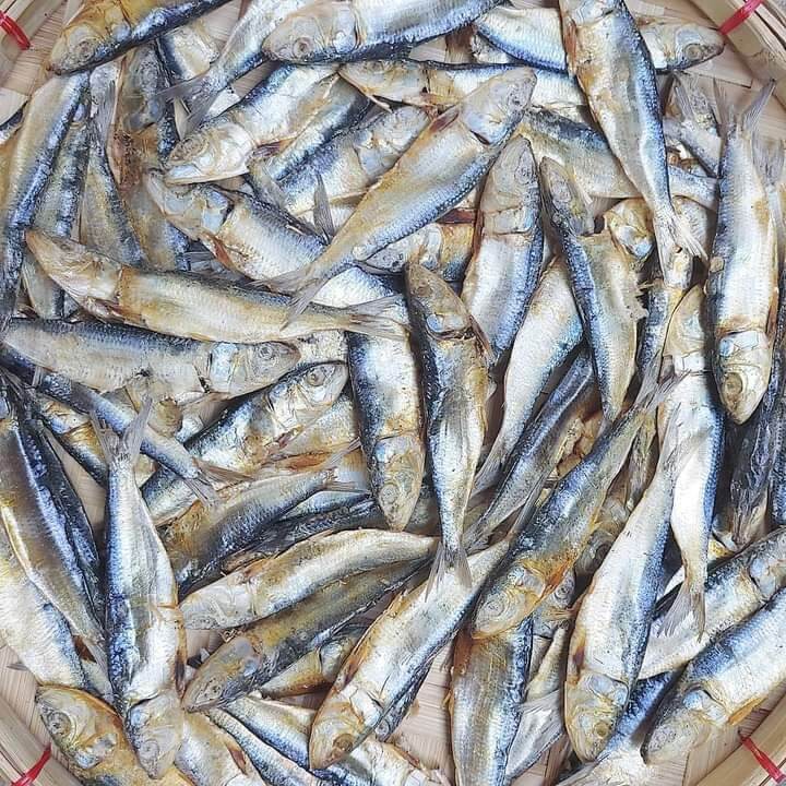 DRIED Tuyo Fish /TUYO / 1/2kilo | Lazada PH