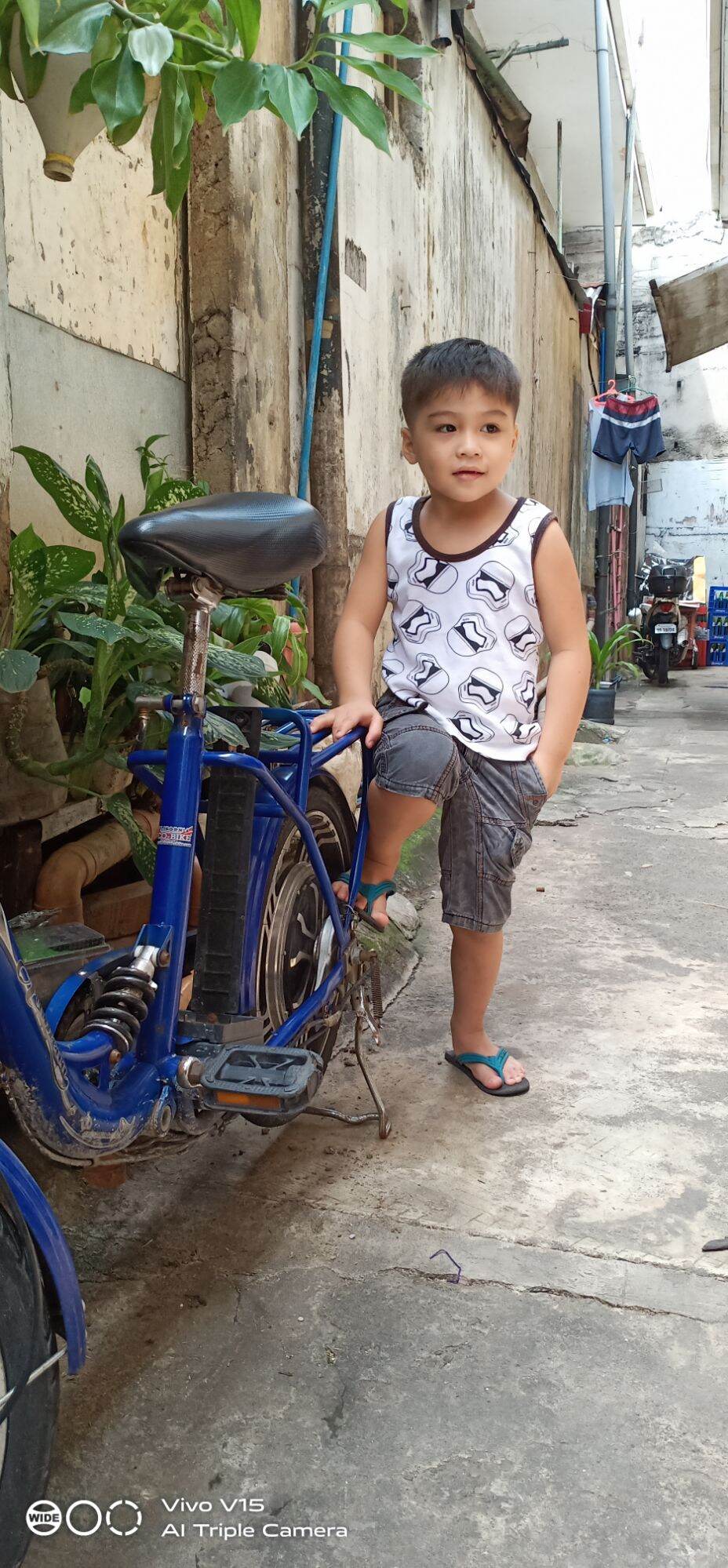 vanz online store Philippines Official Online Store | Shop Now on Lazada