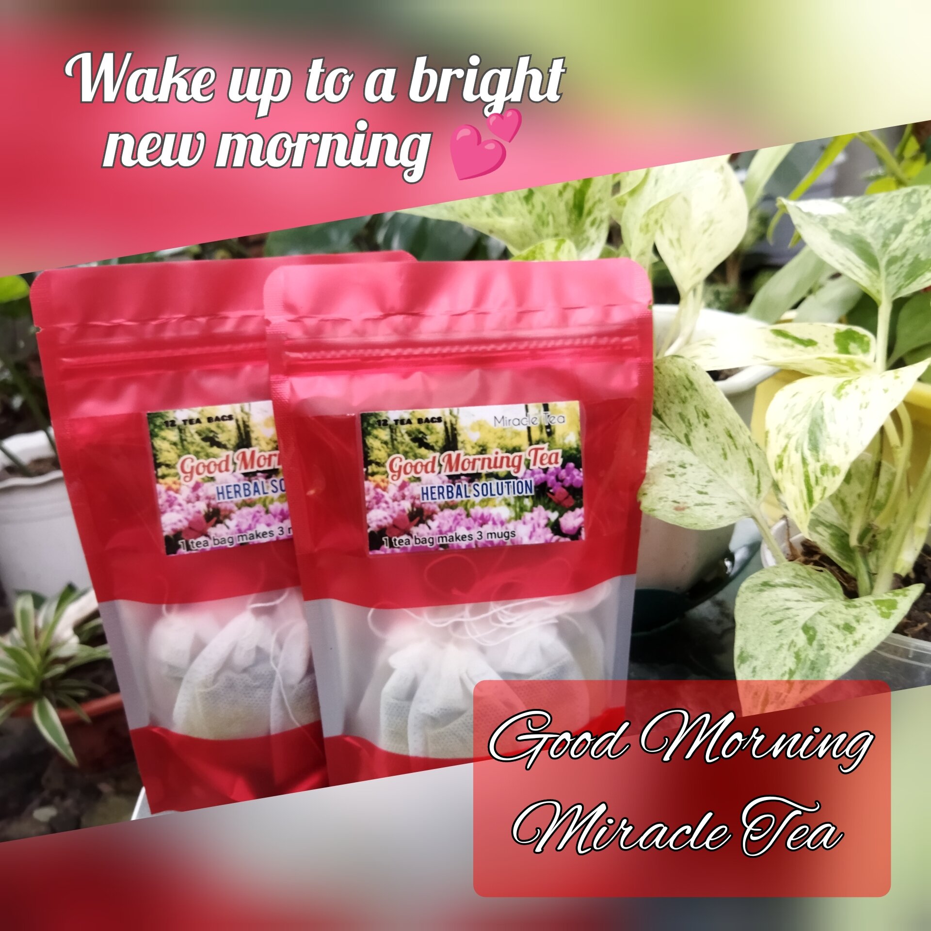 Good Morning Miracle Tea 12s | Lazada PH