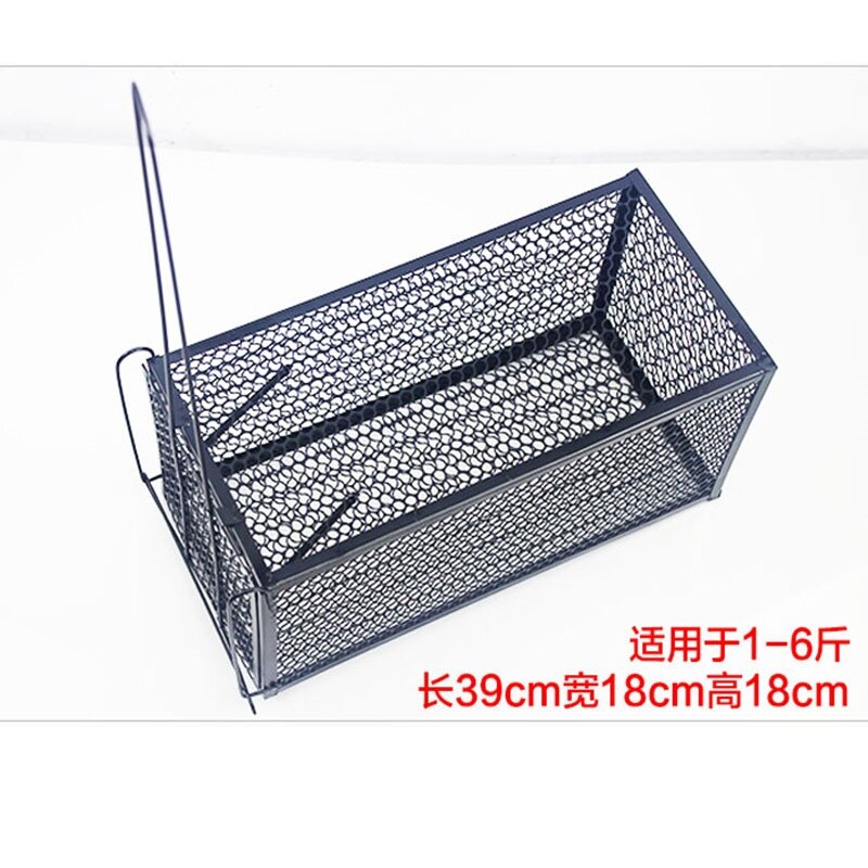 Wild Cat Trap Cat Scratching Special Offer House Cat Rescue Good ...