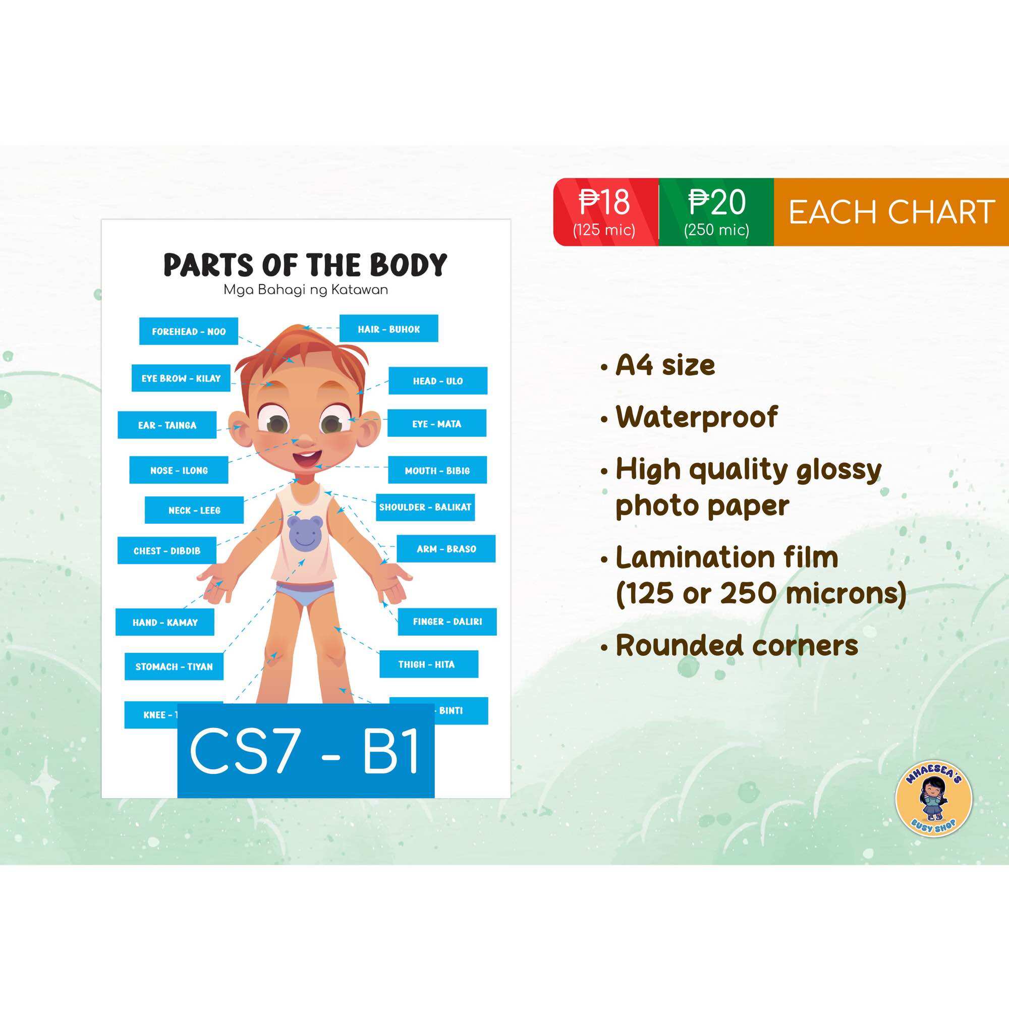 Laminated Educational Chart for Kids Set 7 - Parts of The Body, Stages ...