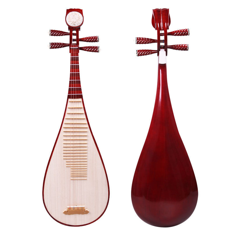 Shixiang Pipa Adult and Children Beginner Teaching Rosewood Pipa ...