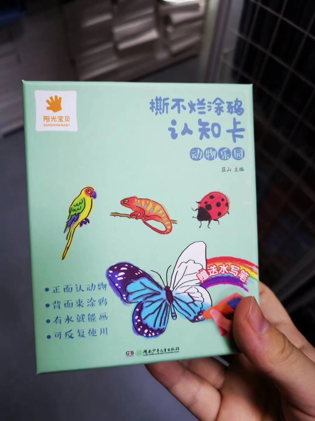 Doodle Flashcards Lazada Ph